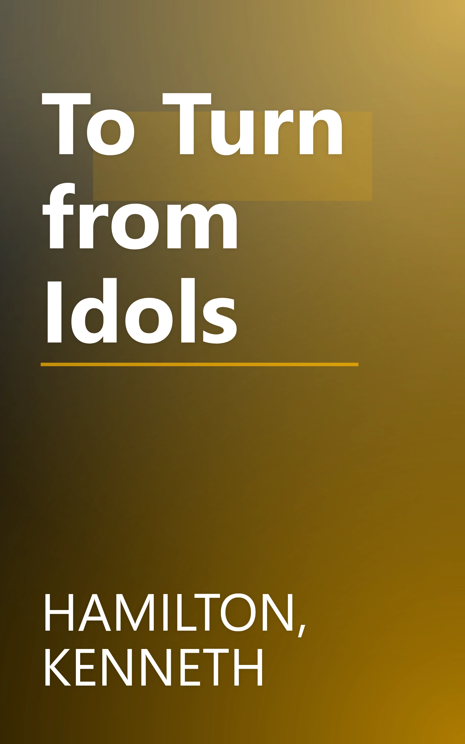 To Turn from Idols book cover