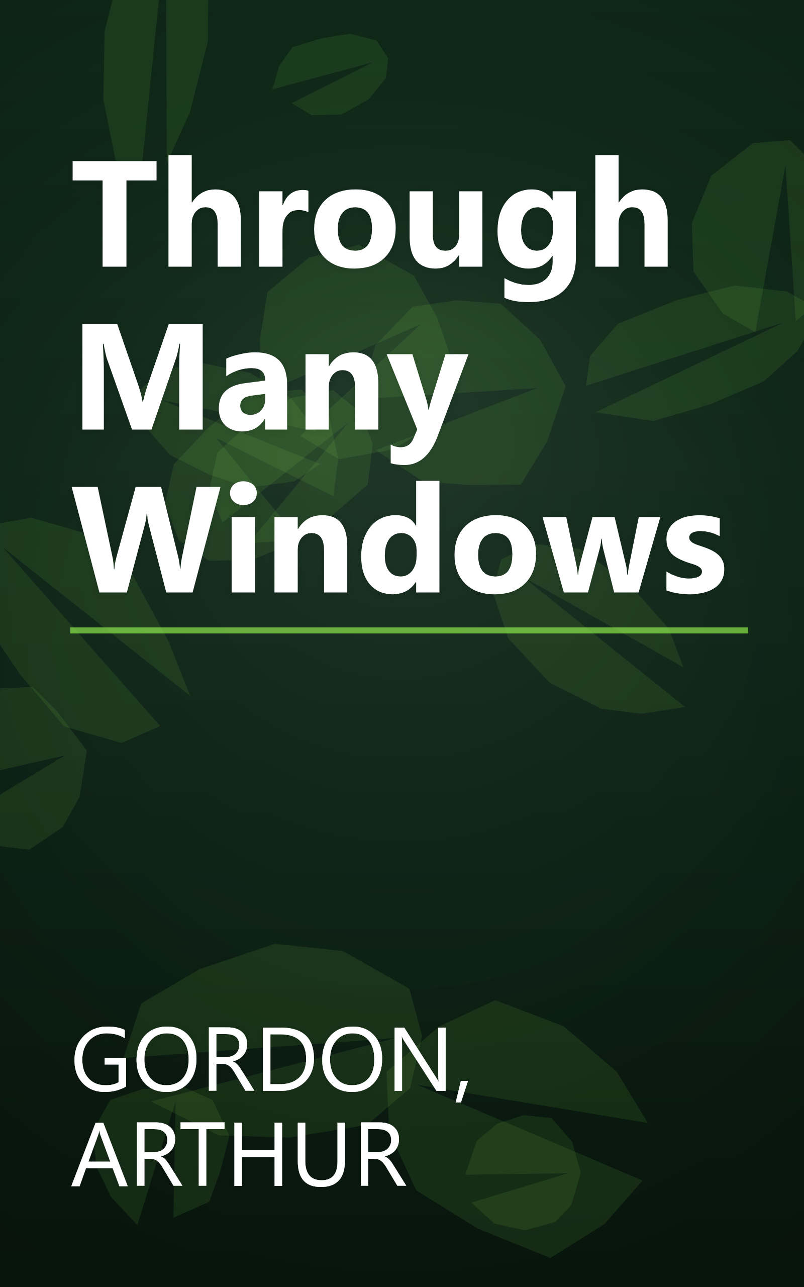 Through Many Windows book cover