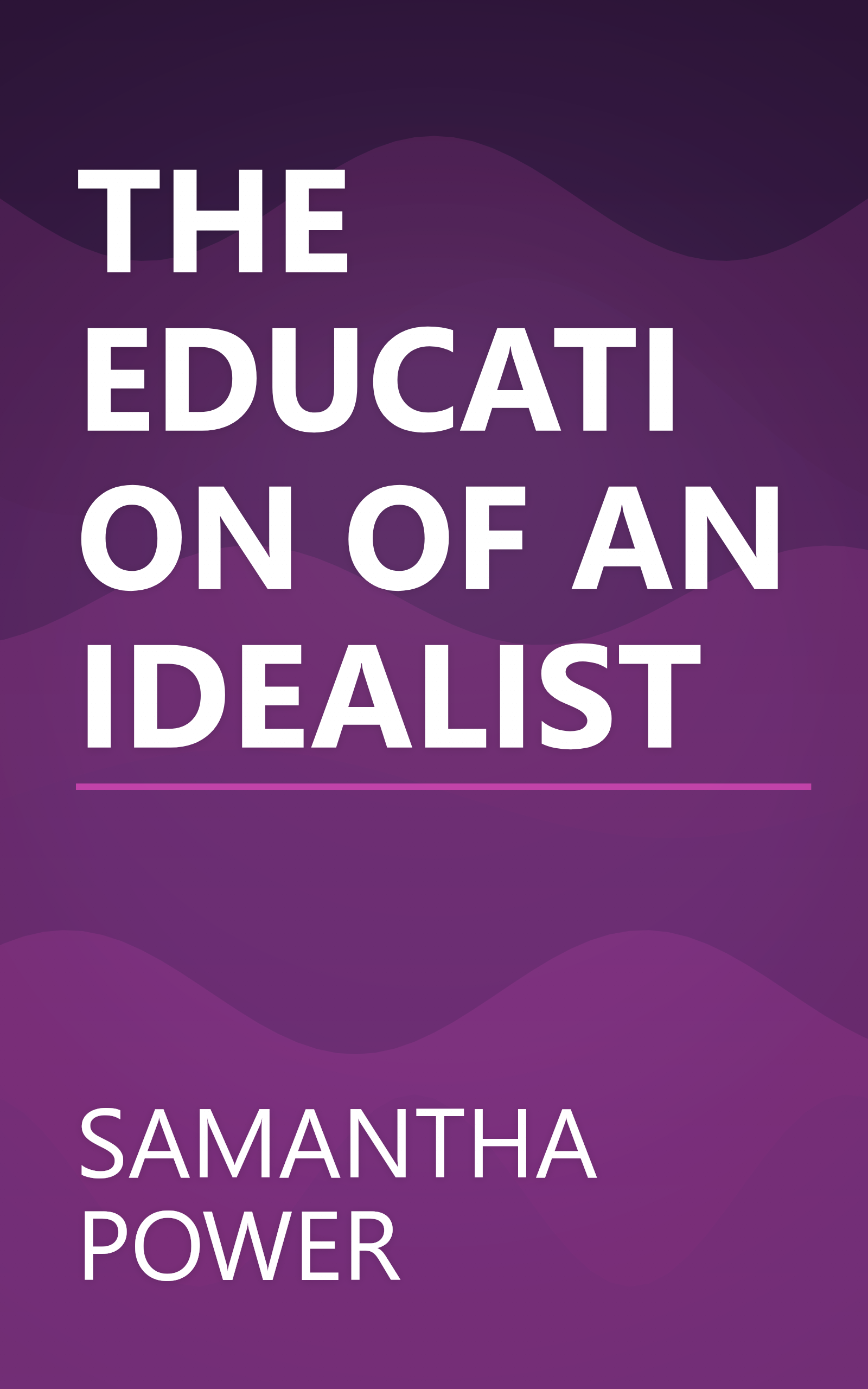 THE EDUCATION OF AN IDEALIST book cover