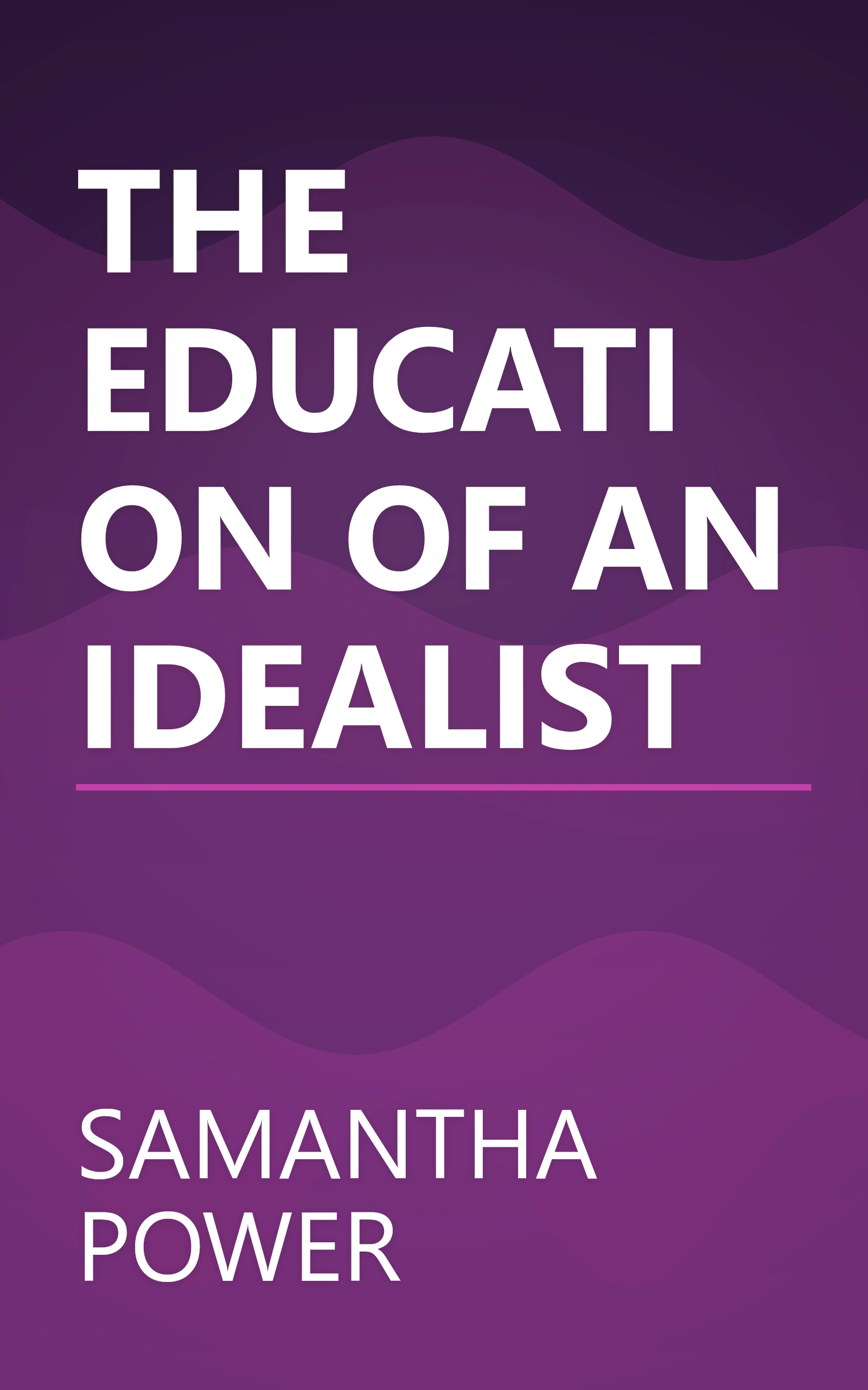 THE EDUCATION OF AN IDEALIST book cover