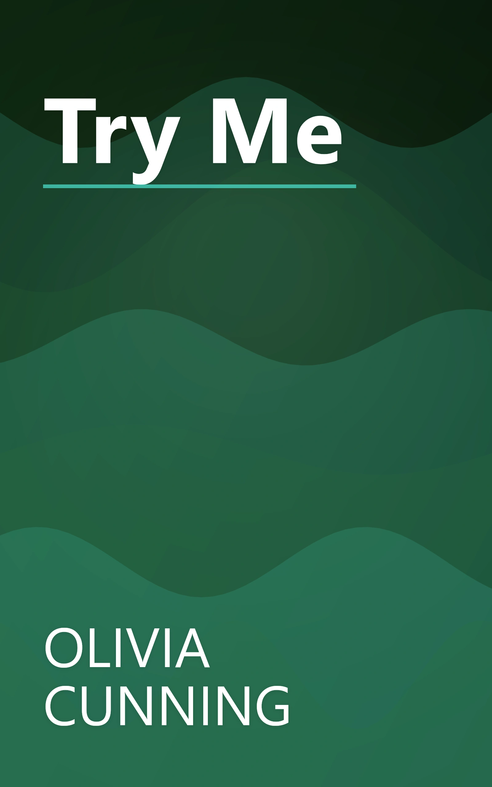 Try Me book cover