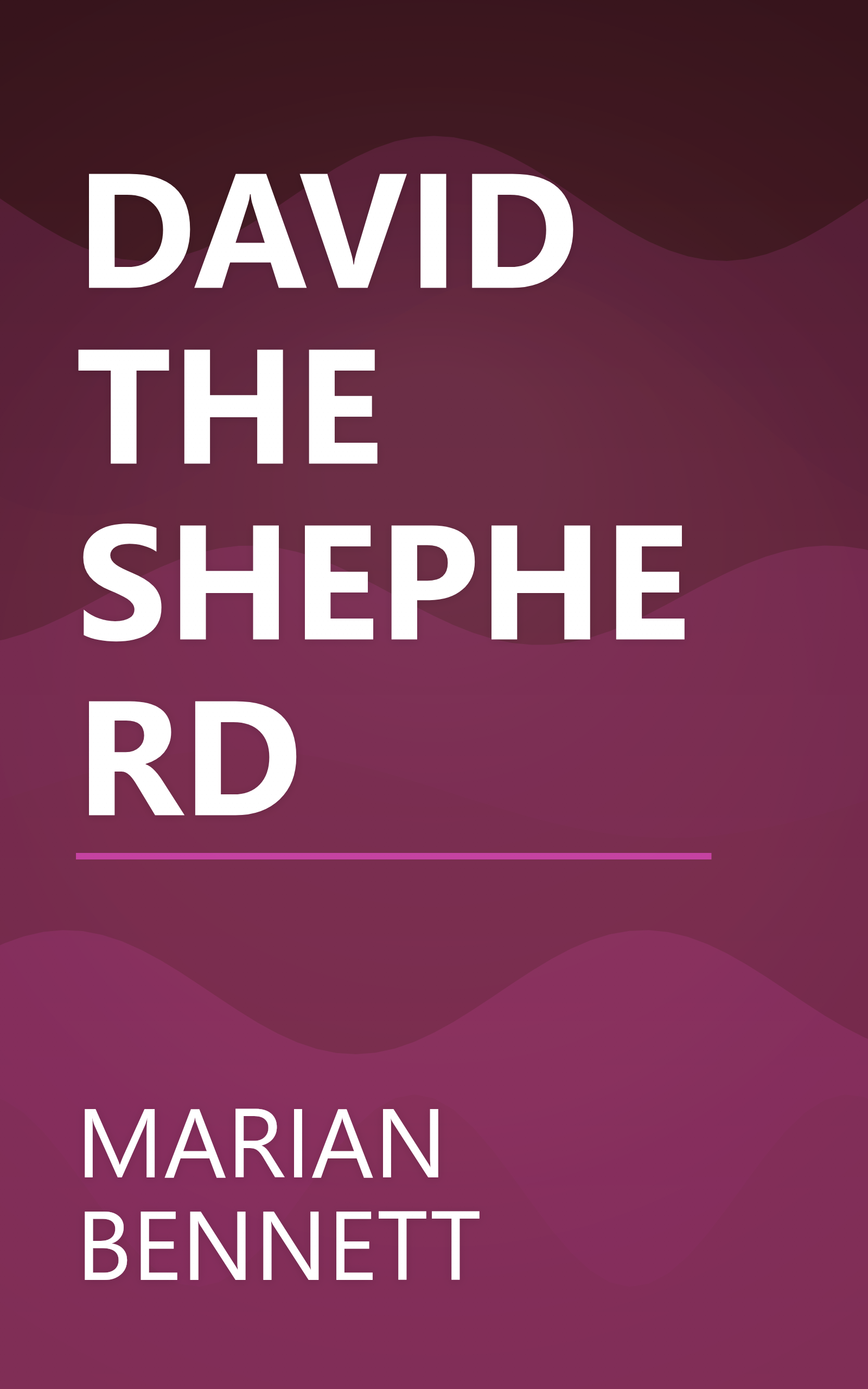 DAVID THE SHEPHERD book cover