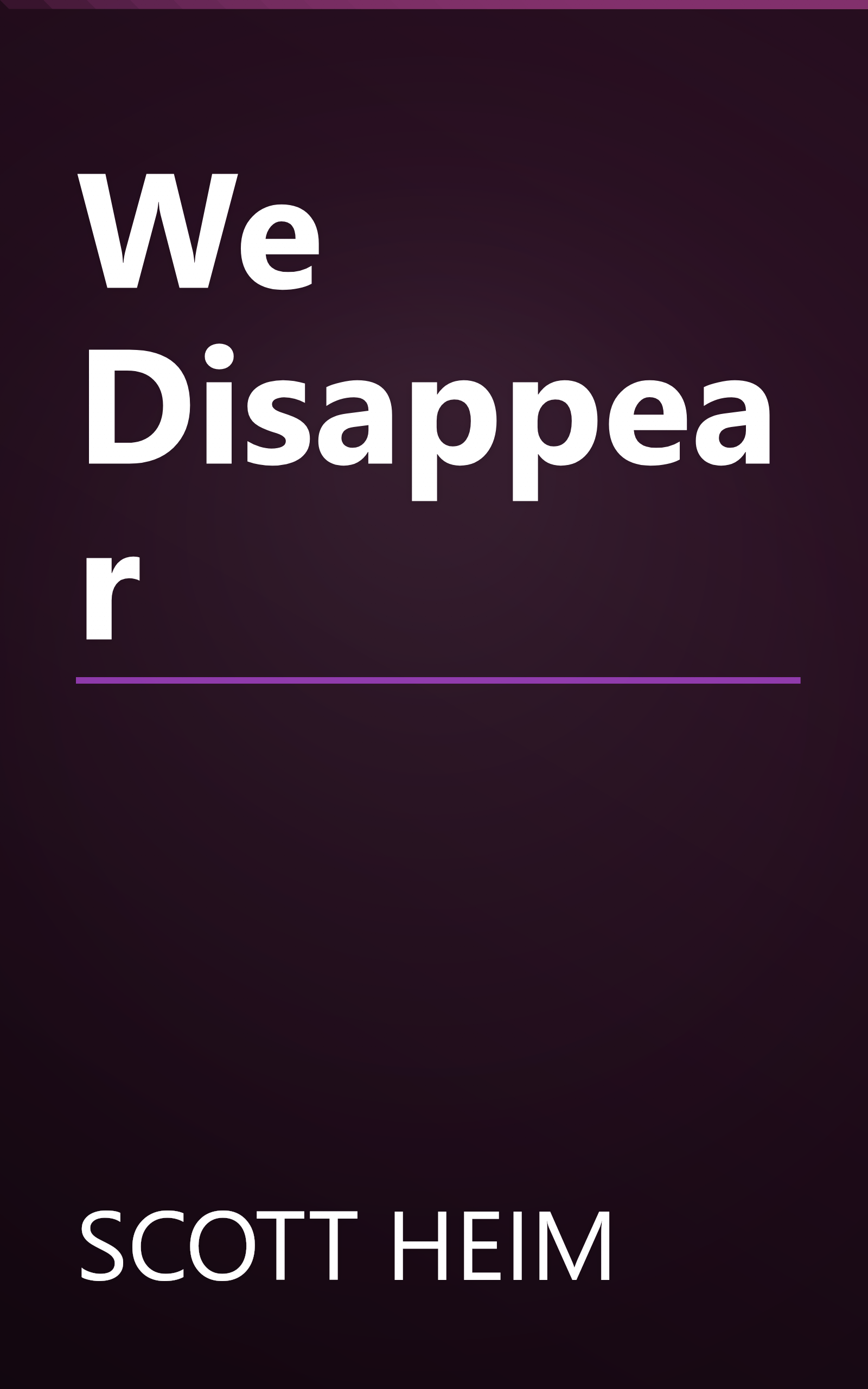 We Disappear book cover