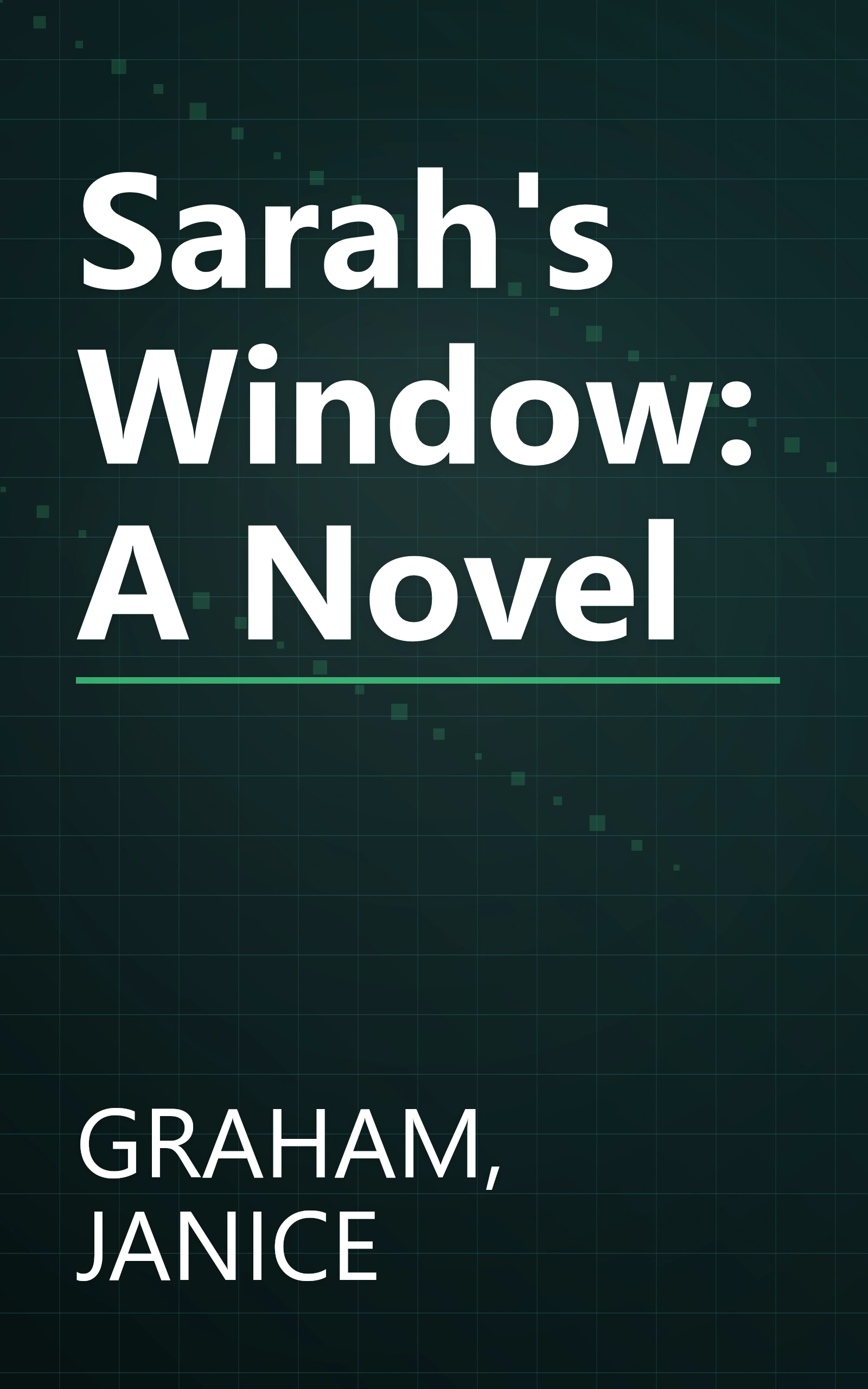 Sarah's Window: A Novel book cover