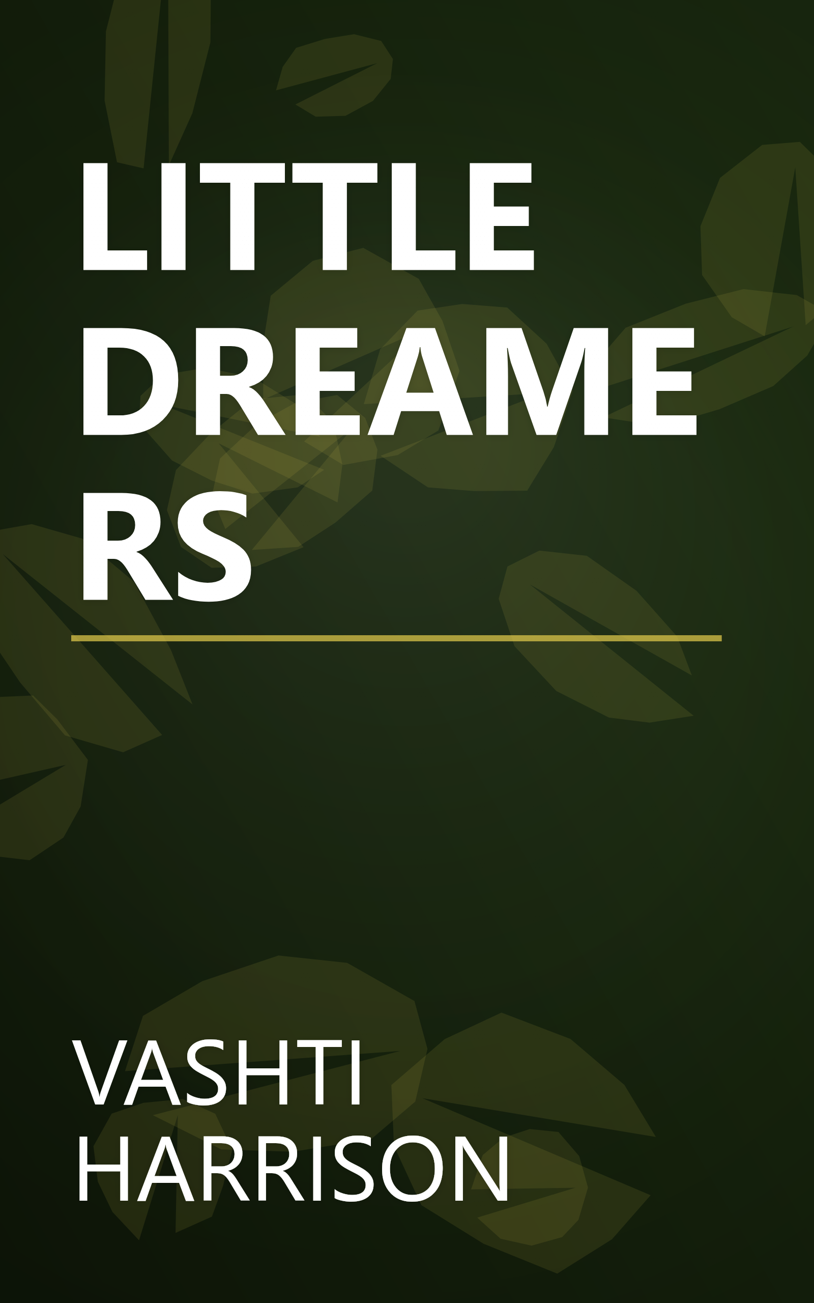 LITTLE DREAMERS book cover