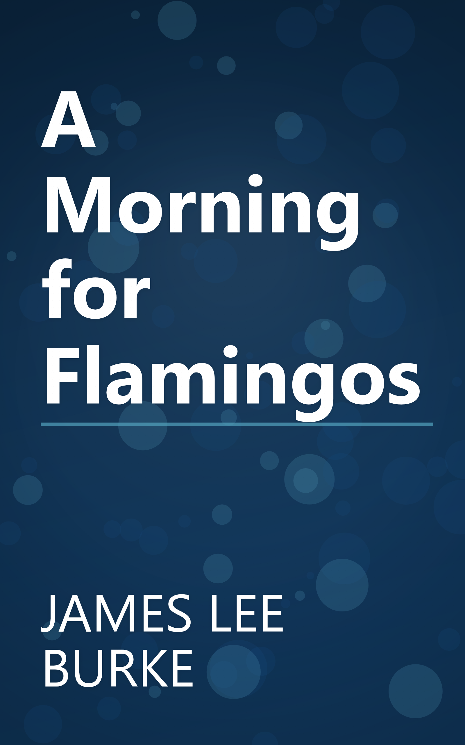 A Morning for Flamingos book cover