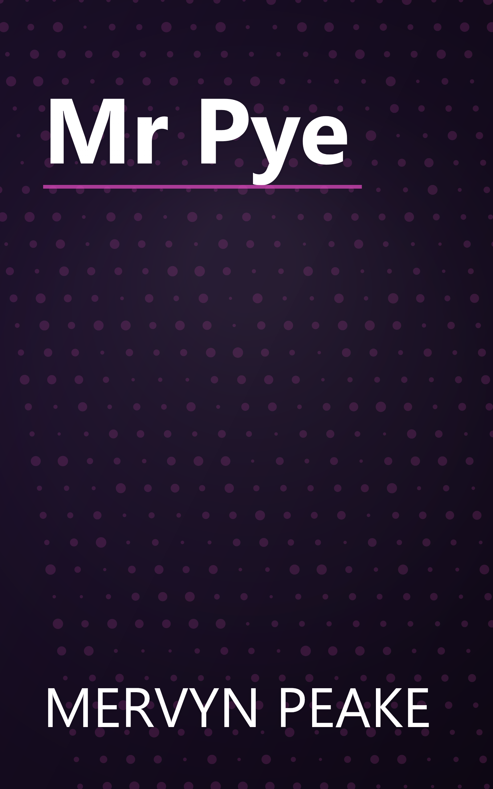 Mr Pye book cover