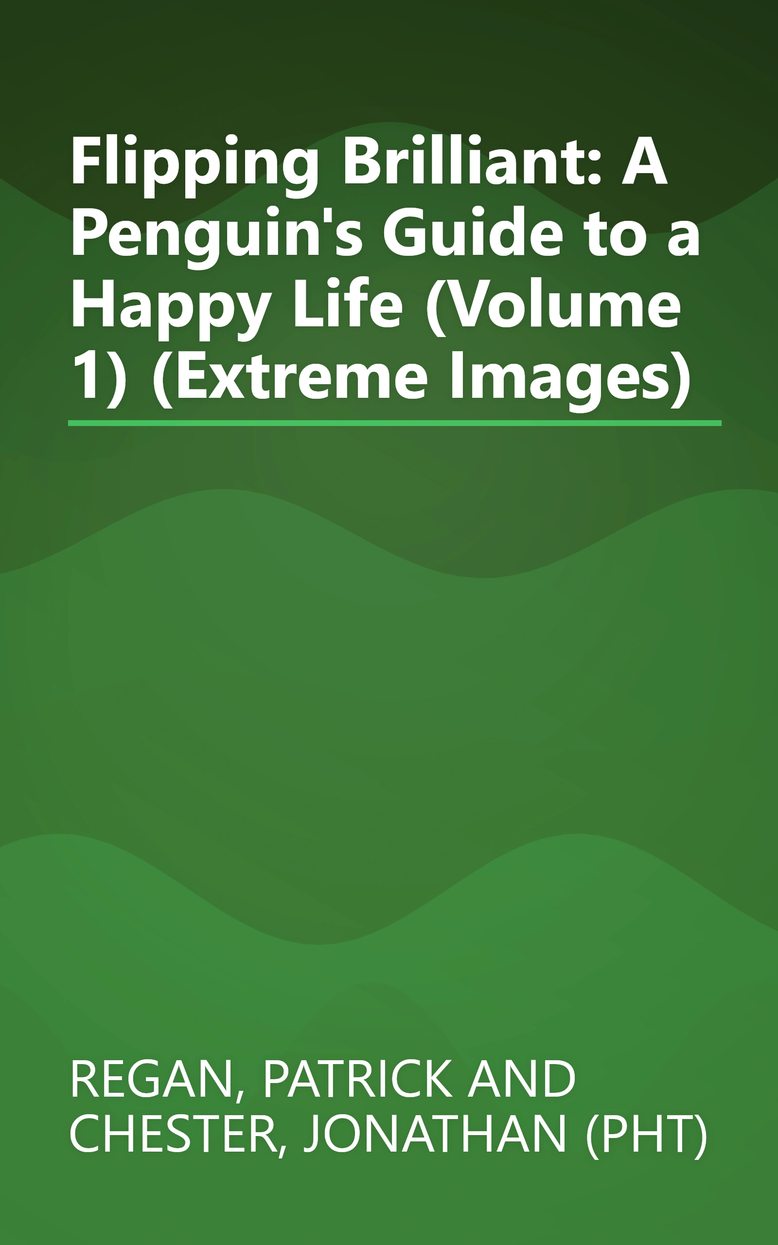 Flipping Brilliant: A Penguin's Guide to a Happy Life (Volume 1) (Extreme Images) book cover