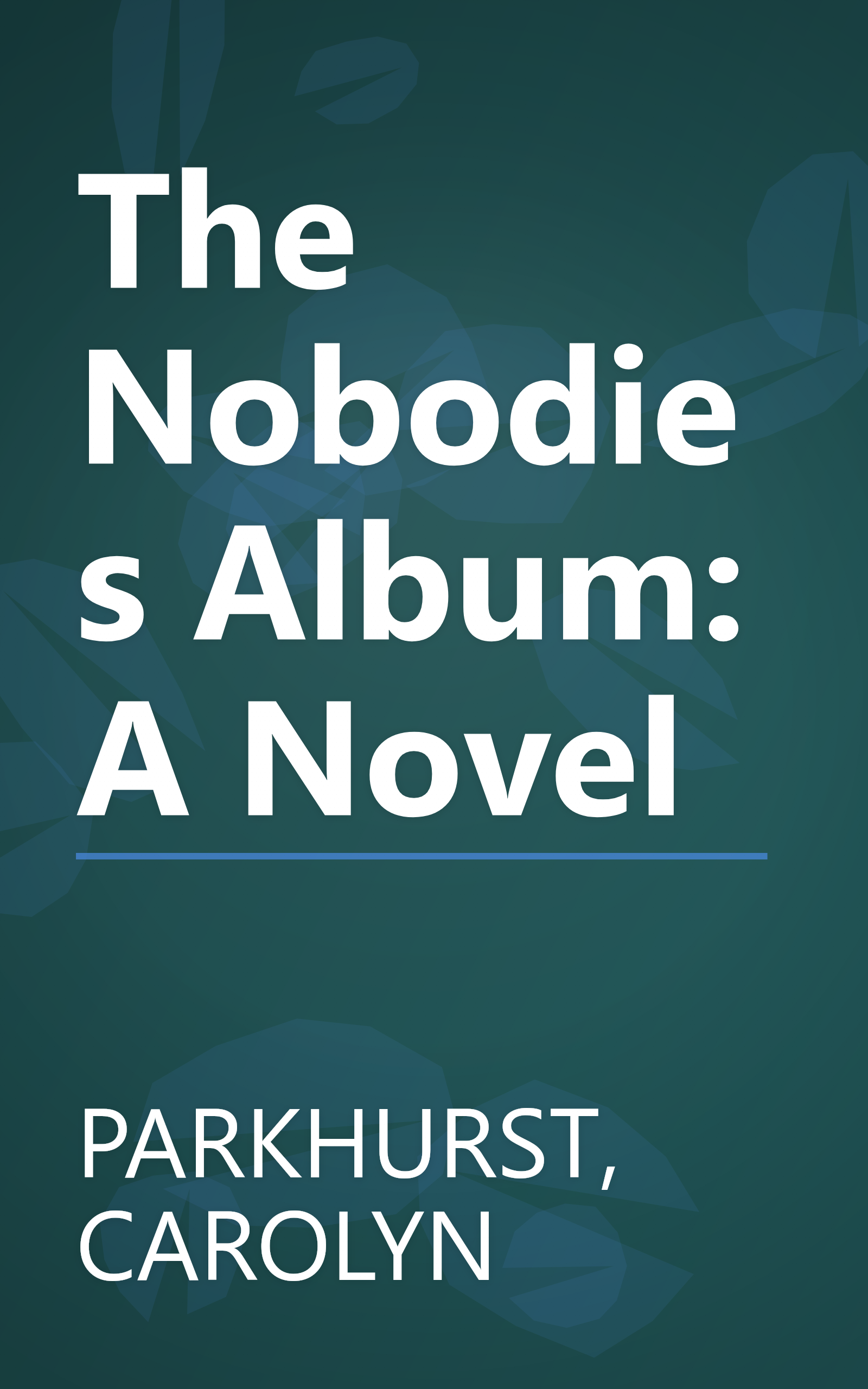 The Nobodies Album: A Novel book cover