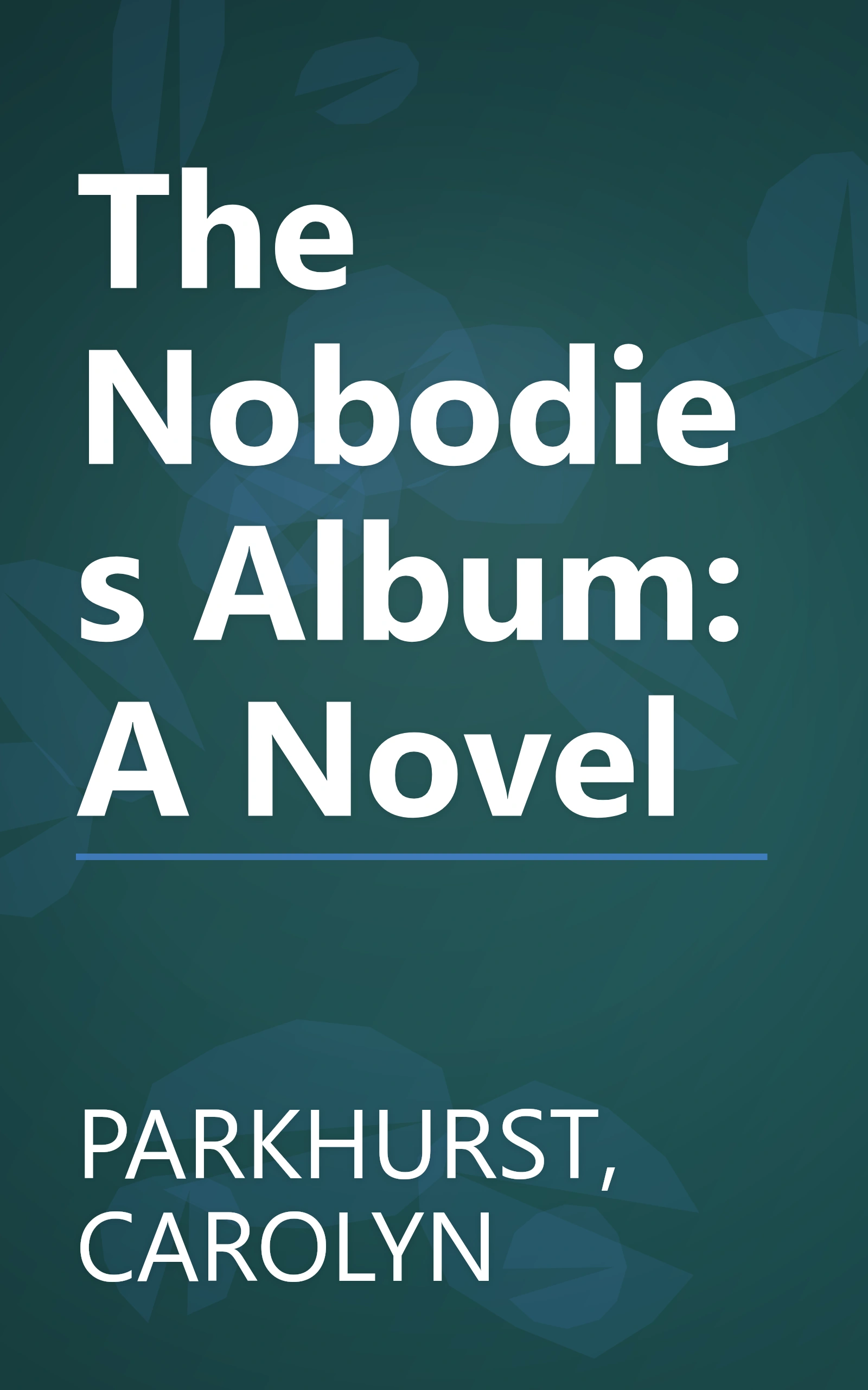 The Nobodies Album: A Novel book cover