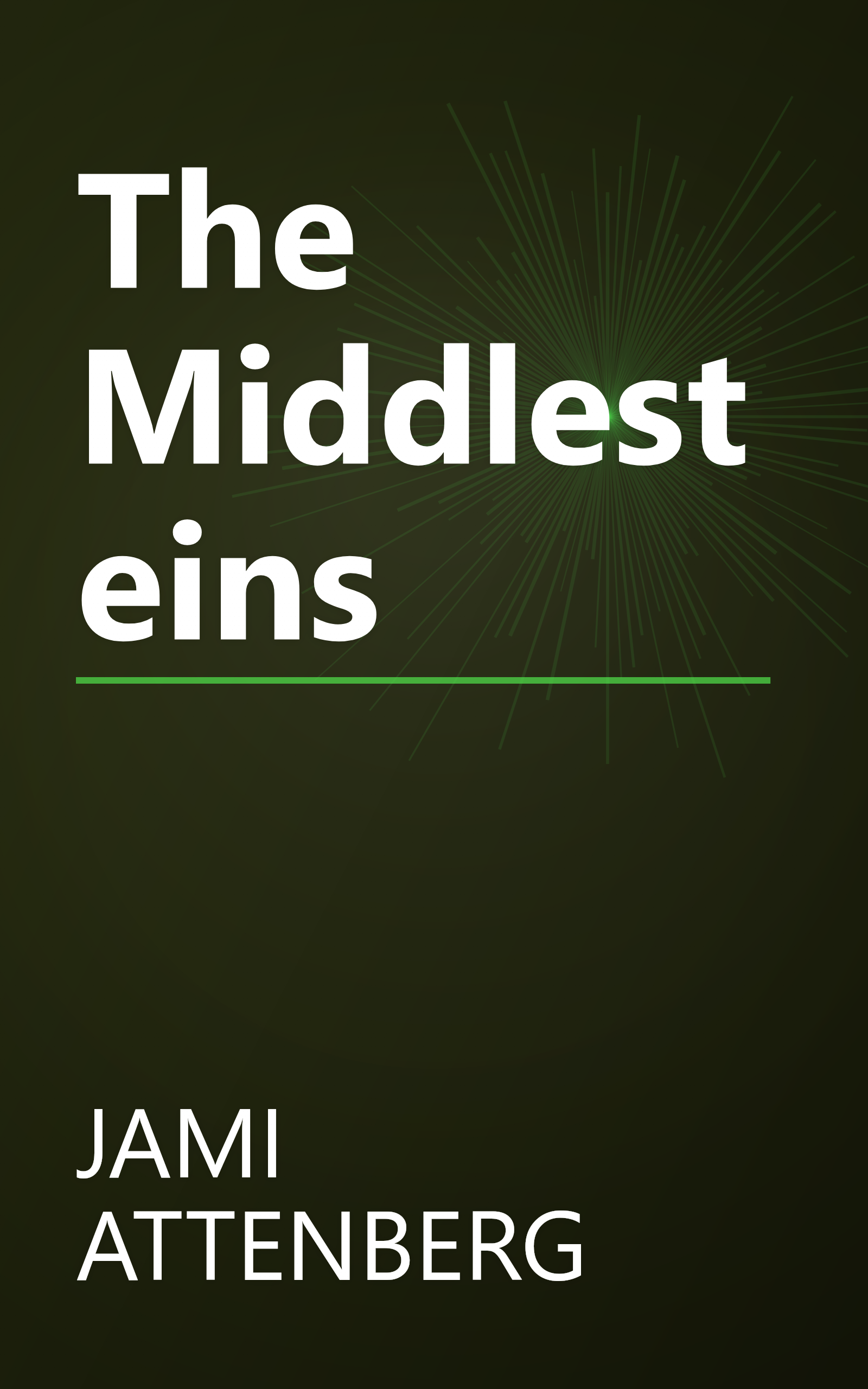The Middlesteins book cover