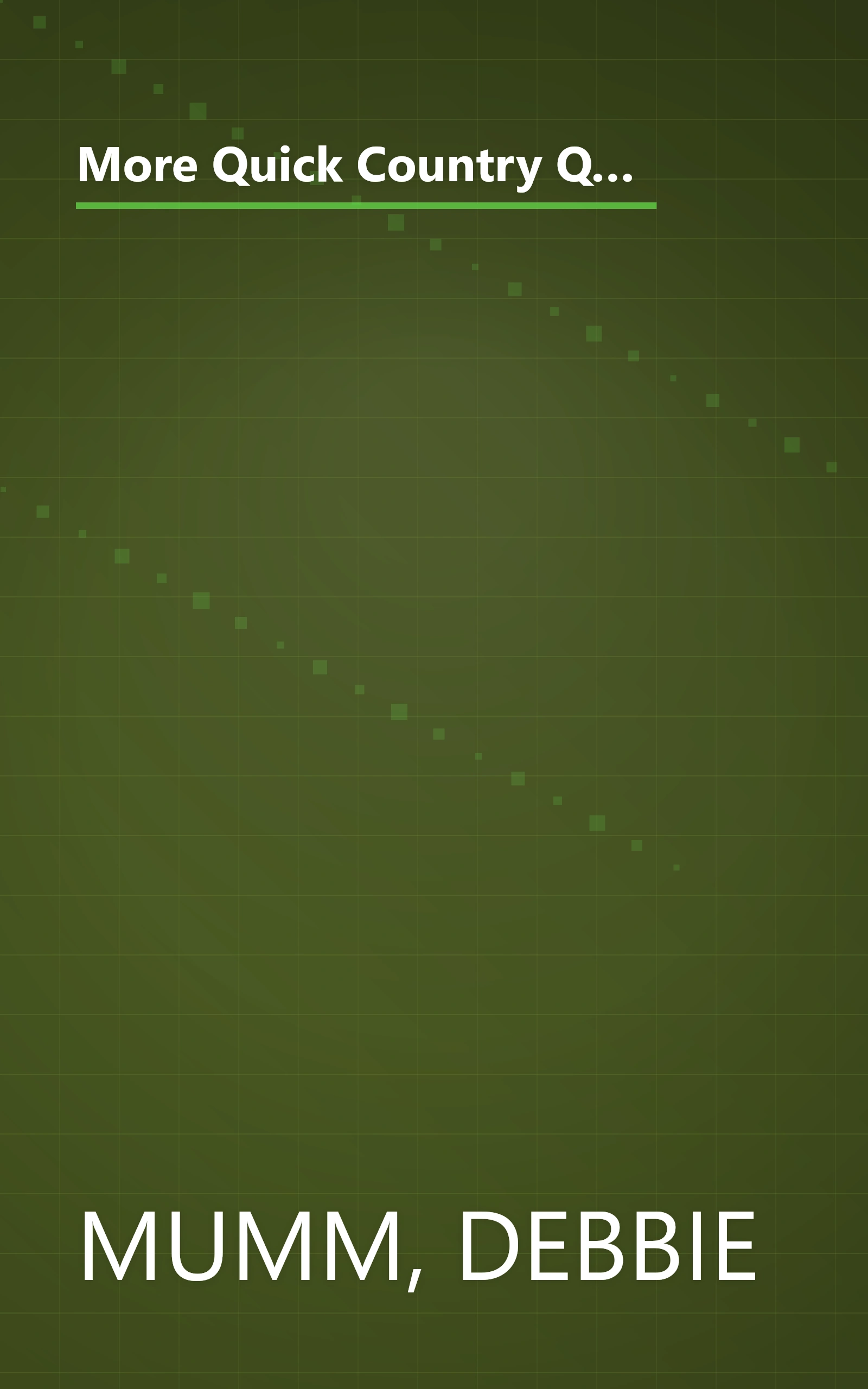 More Quick Country Quilting: 60 New Fast and Fun Projects from the Author of Quick Country Quilting (A Rodale Quilt Book) book cover