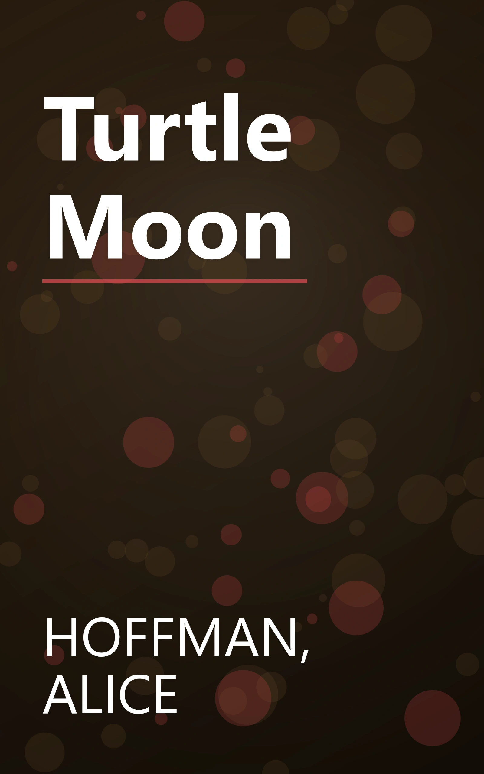 Turtle Moon book cover
