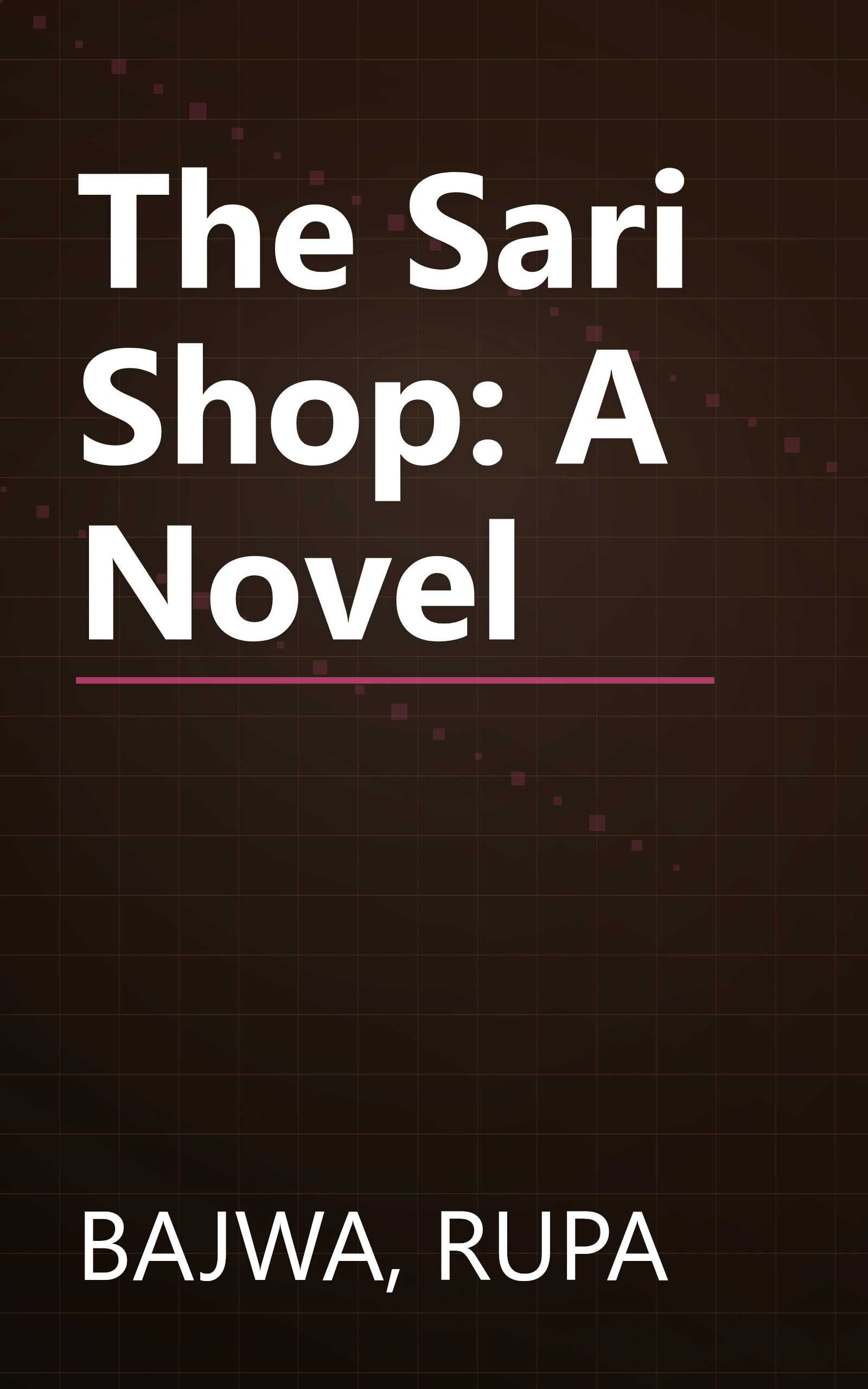 The Sari Shop: A Novel book cover