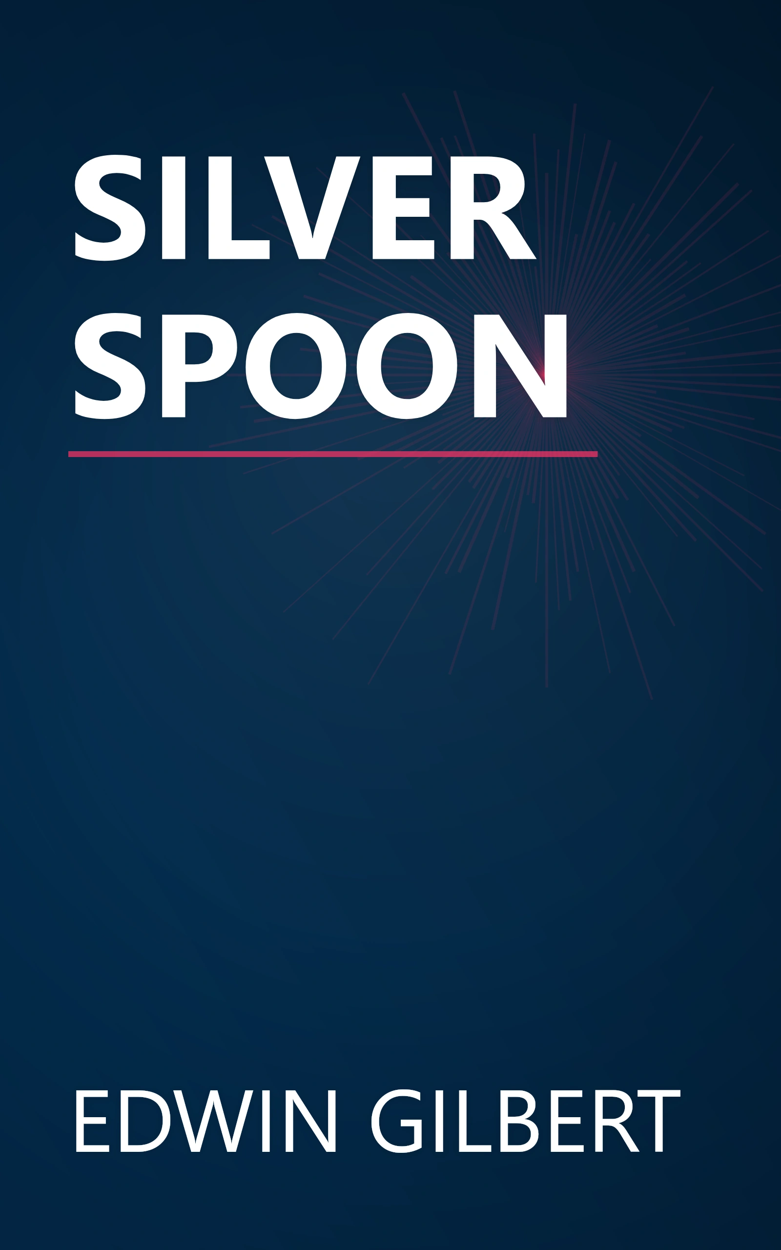 SILVER SPOON book cover