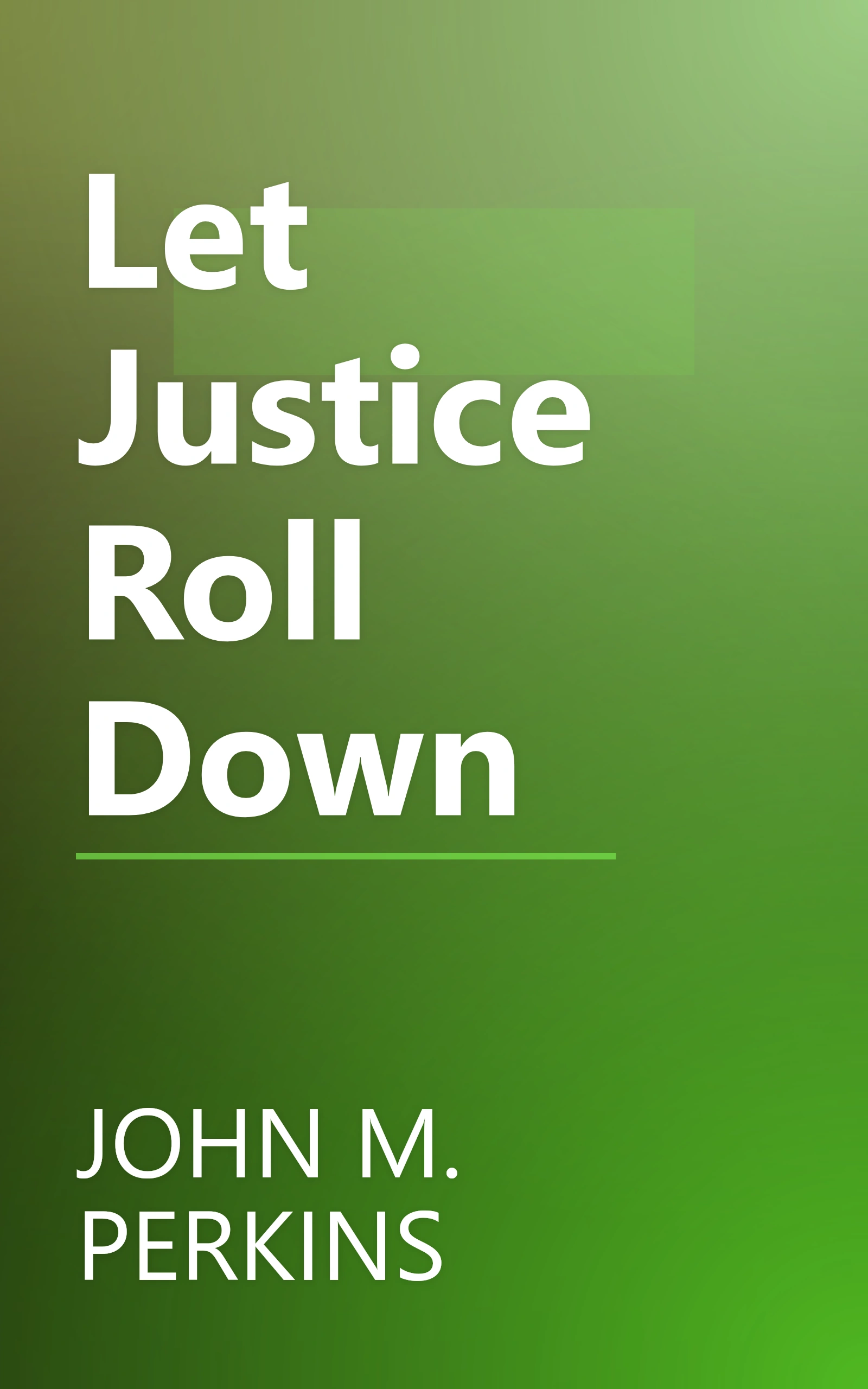 Let Justice Roll Down book cover
