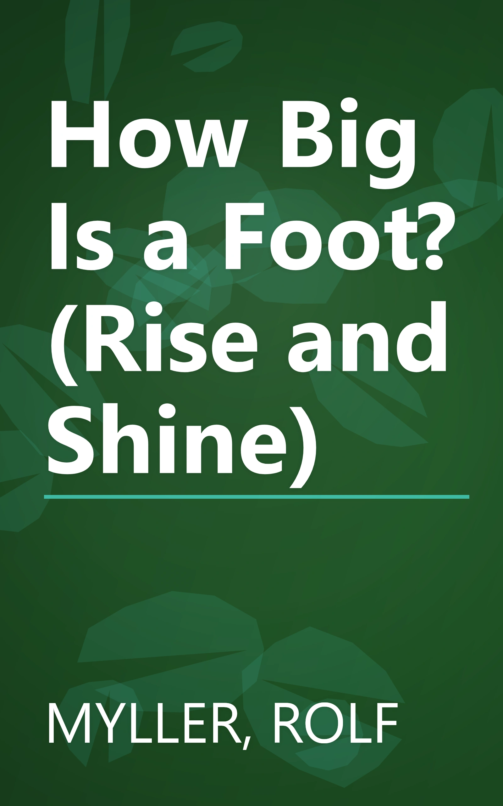 How Big Is a Foot? (Rise and Shine) book cover