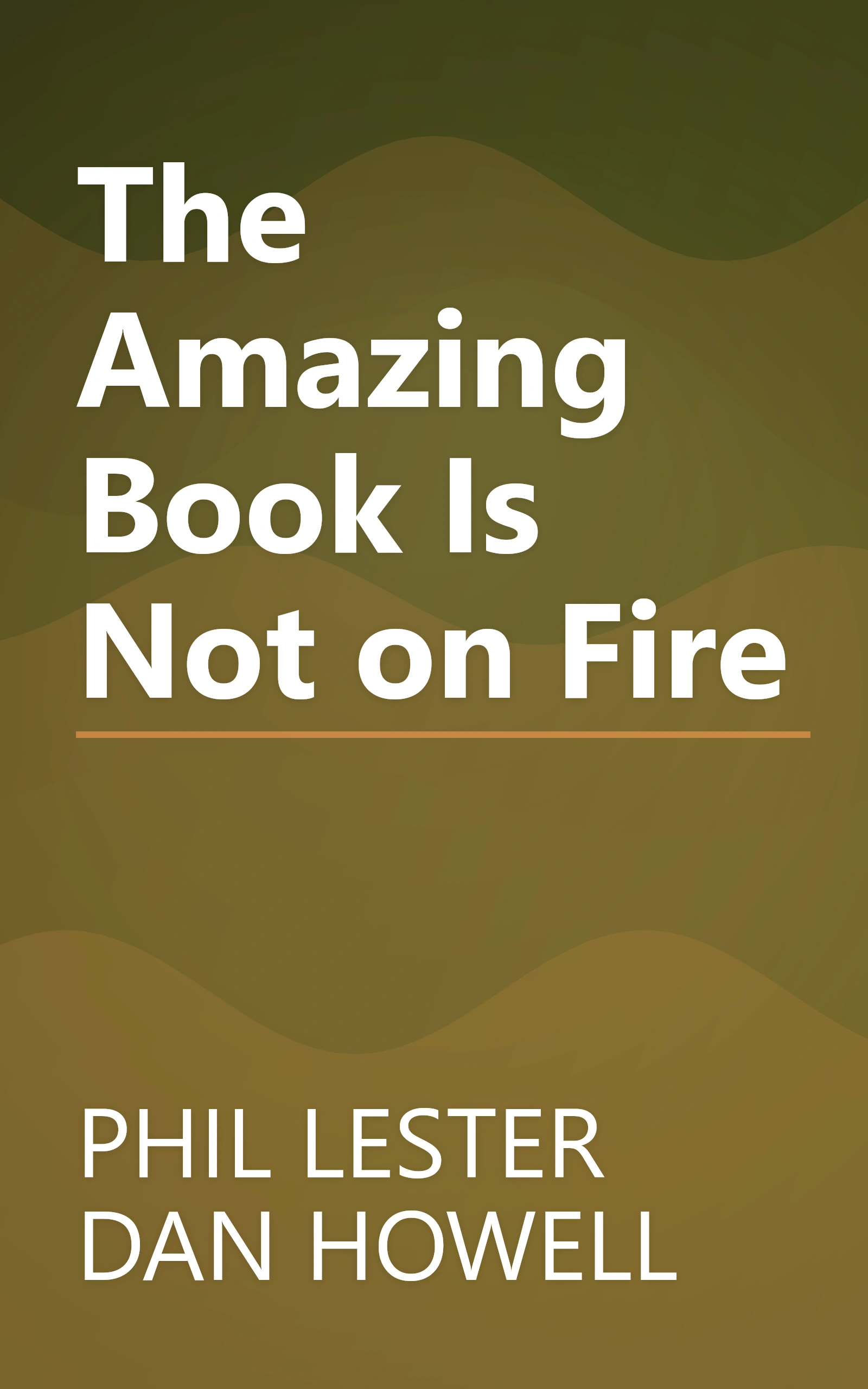 The Amazing Book Is Not on Fire book cover