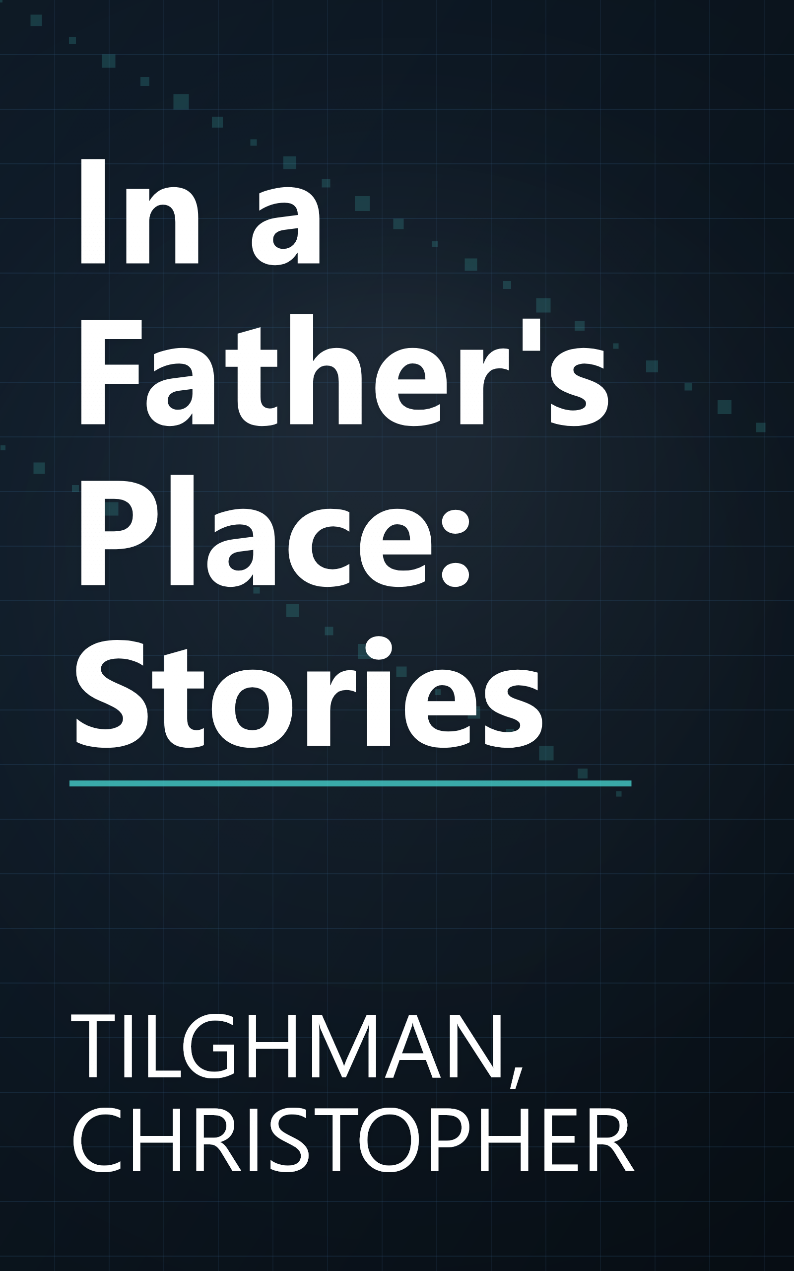 In a Father's Place: Stories book cover