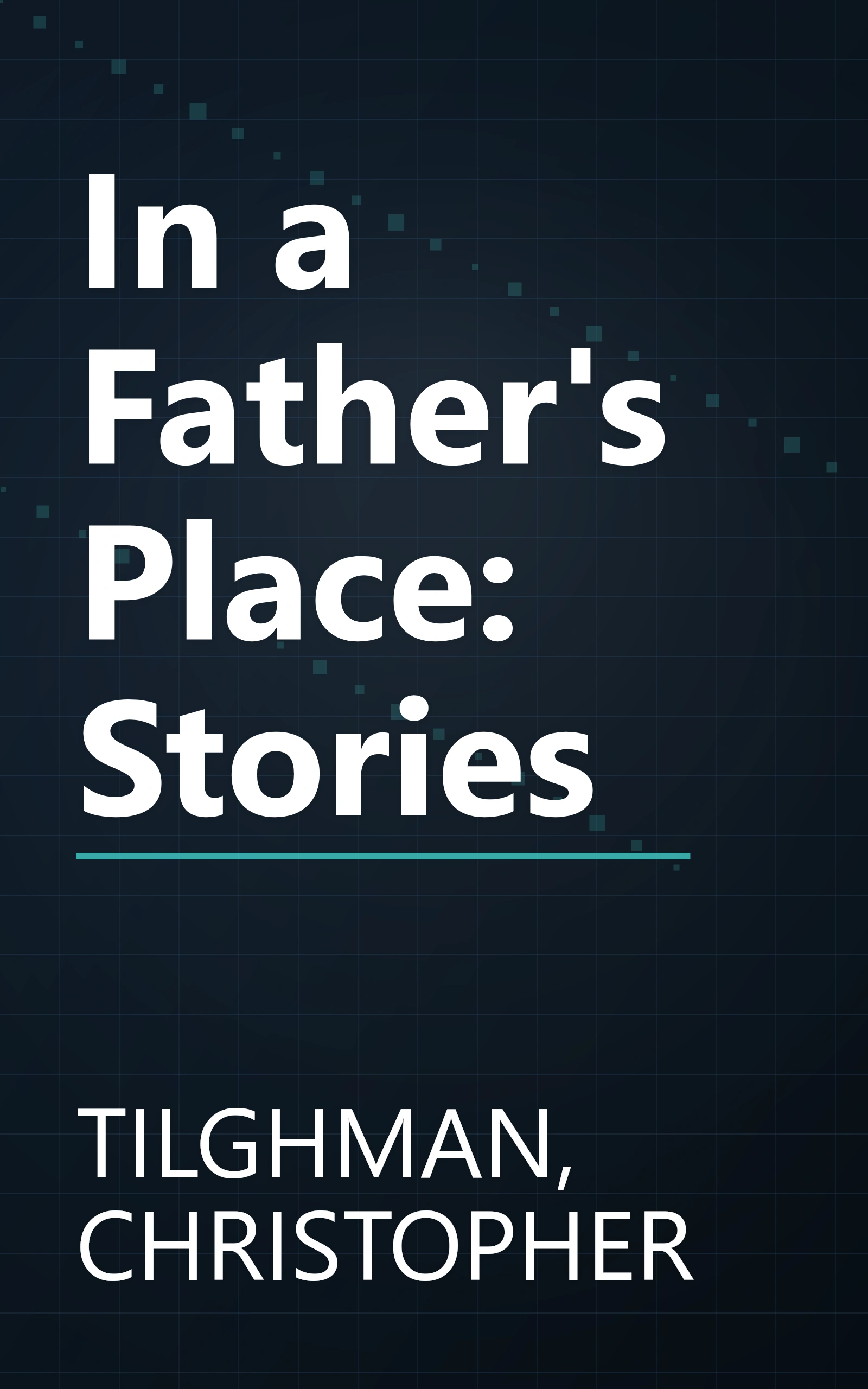 In a Father's Place: Stories book cover