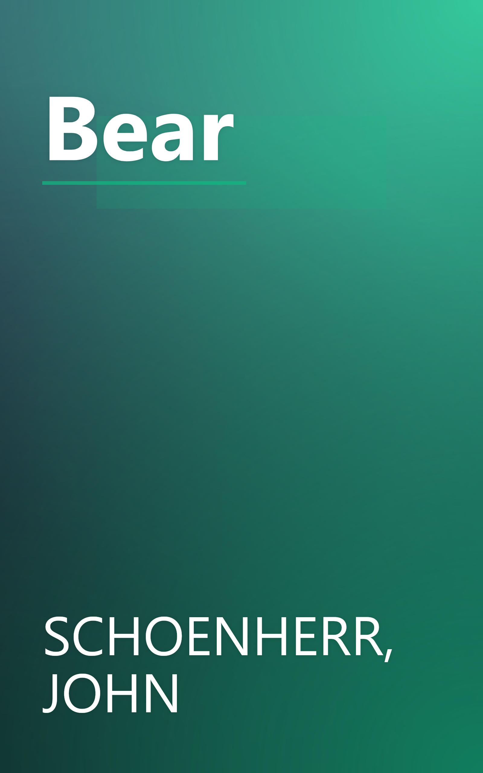 Bear book cover