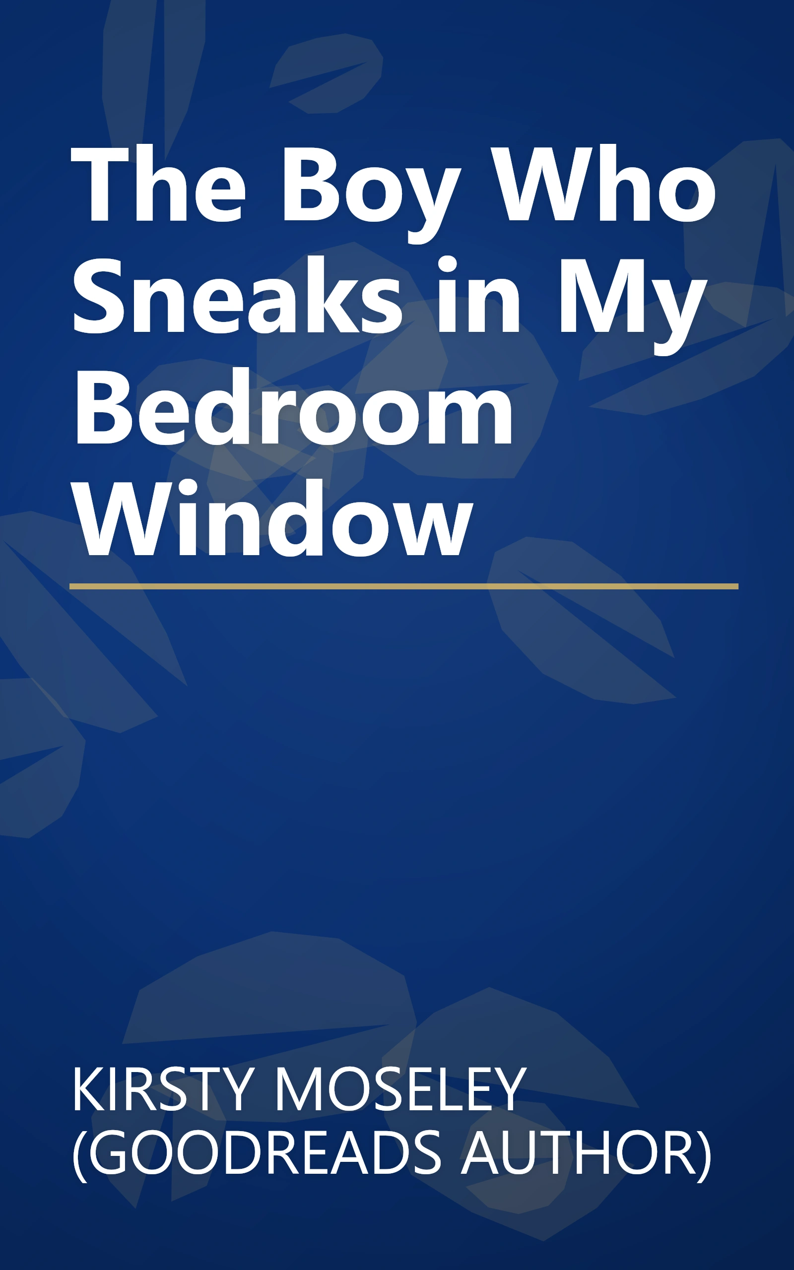 The Boy Who Sneaks in My Bedroom Window book cover