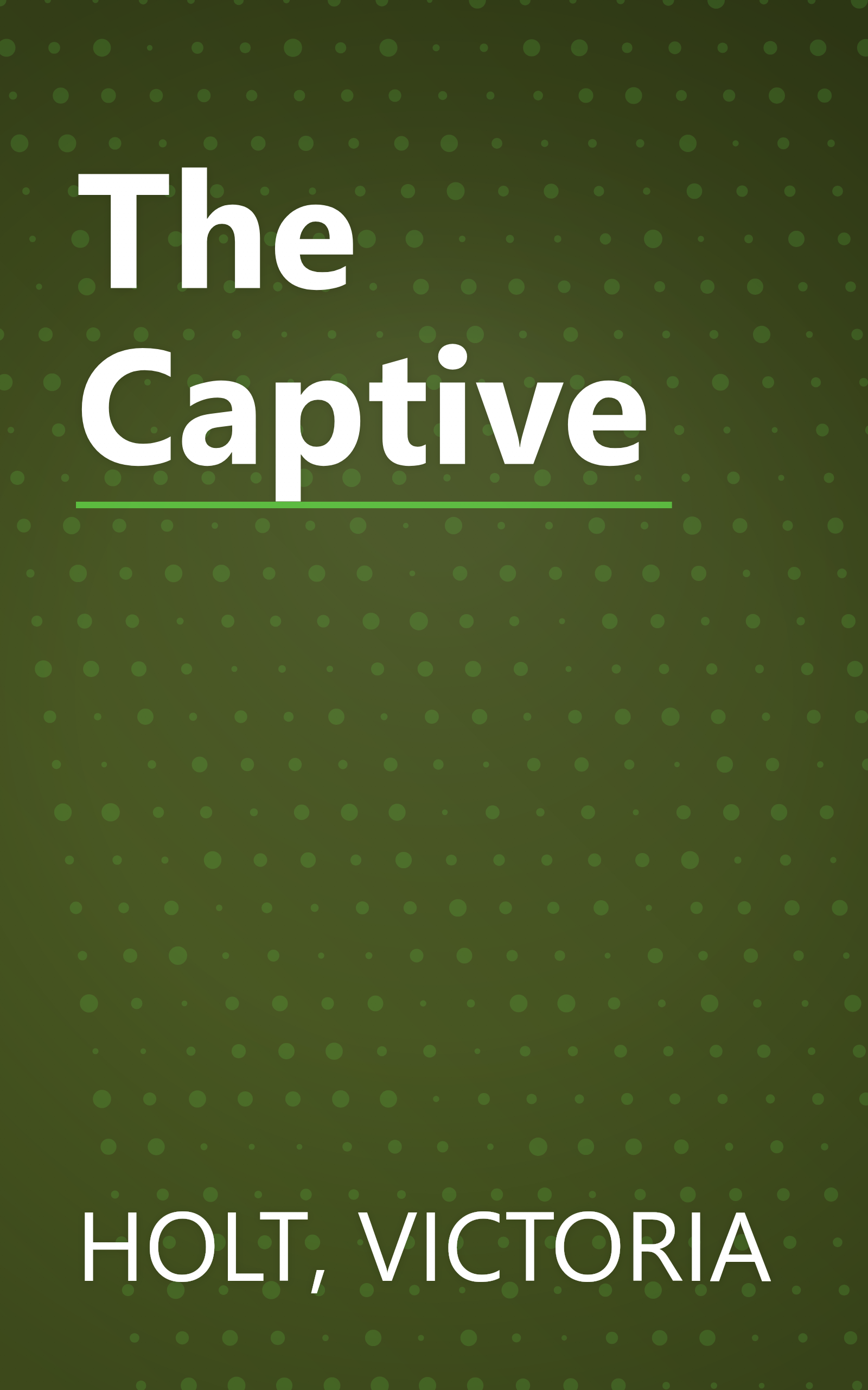 The Captive book cover