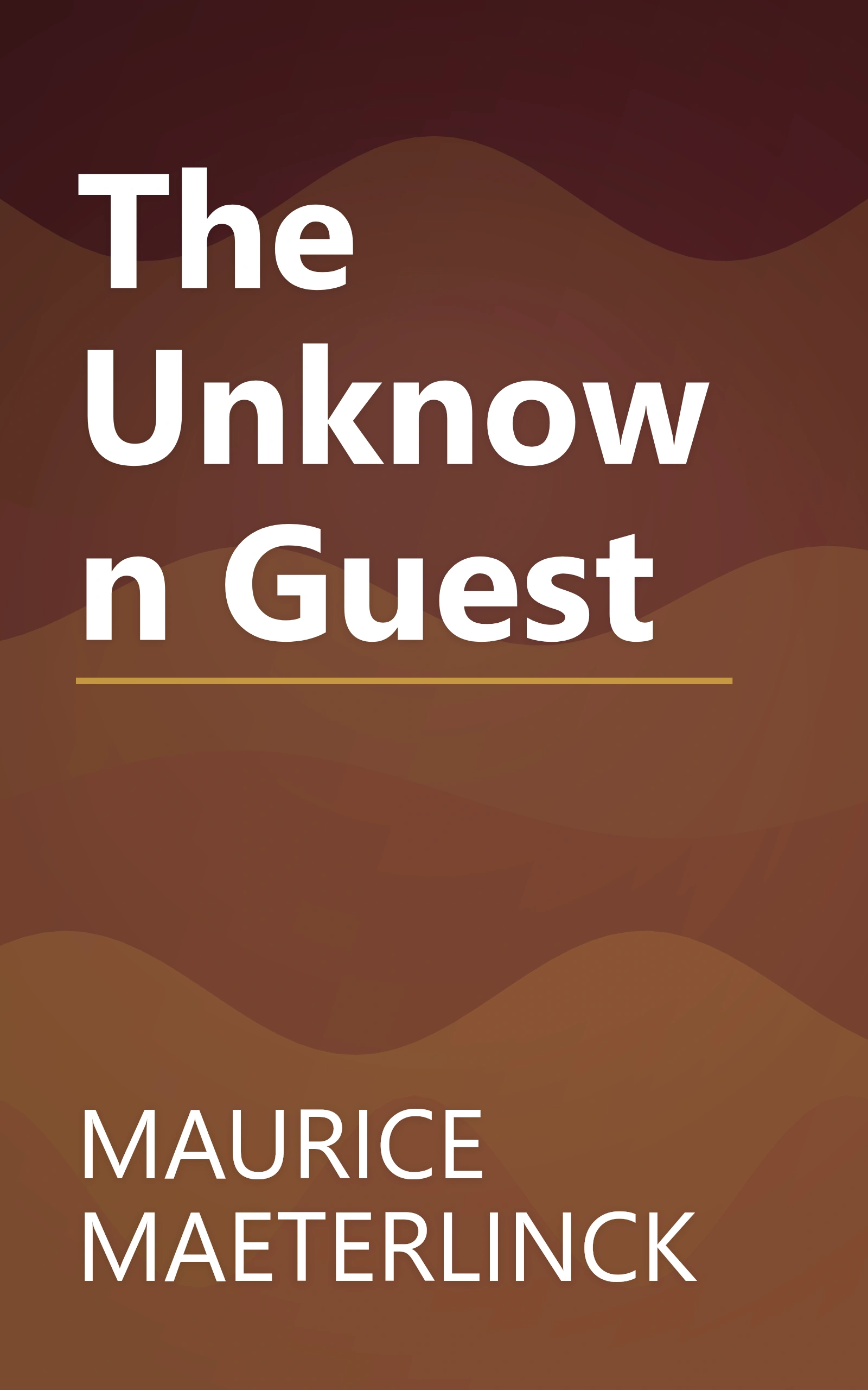 The Unknown Guest book cover