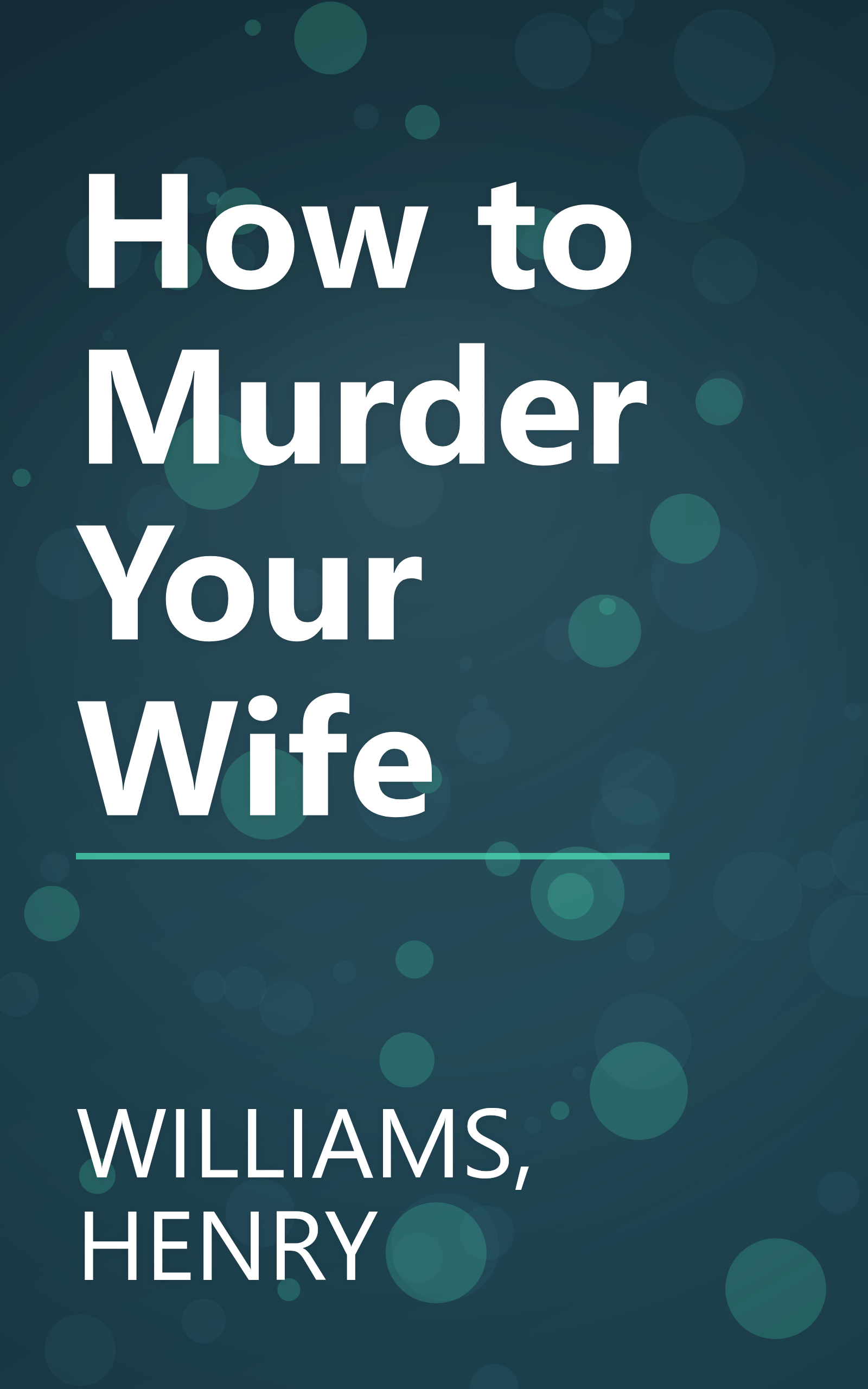 How to Murder Your Wife book cover