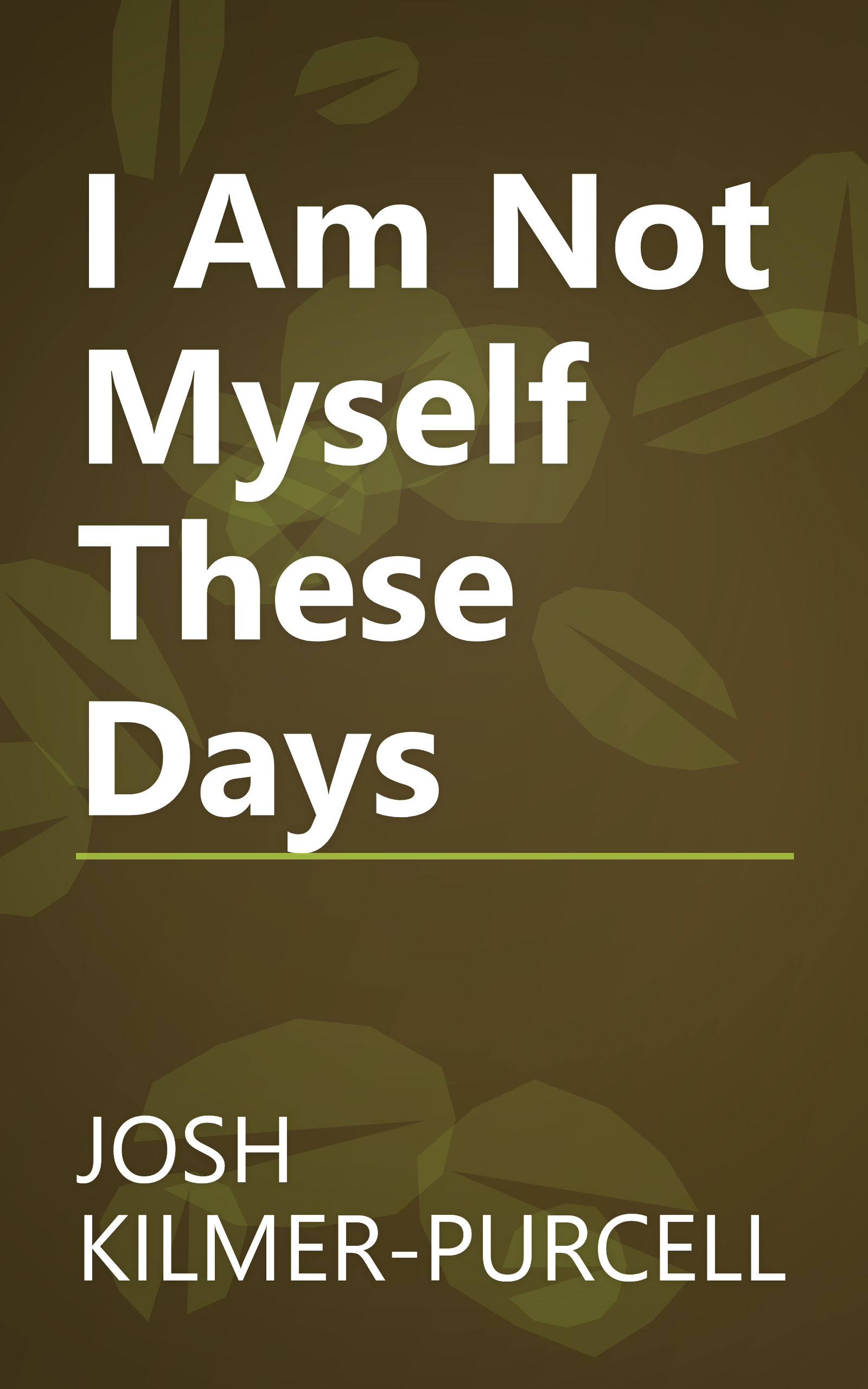 I Am Not Myself These Days book cover