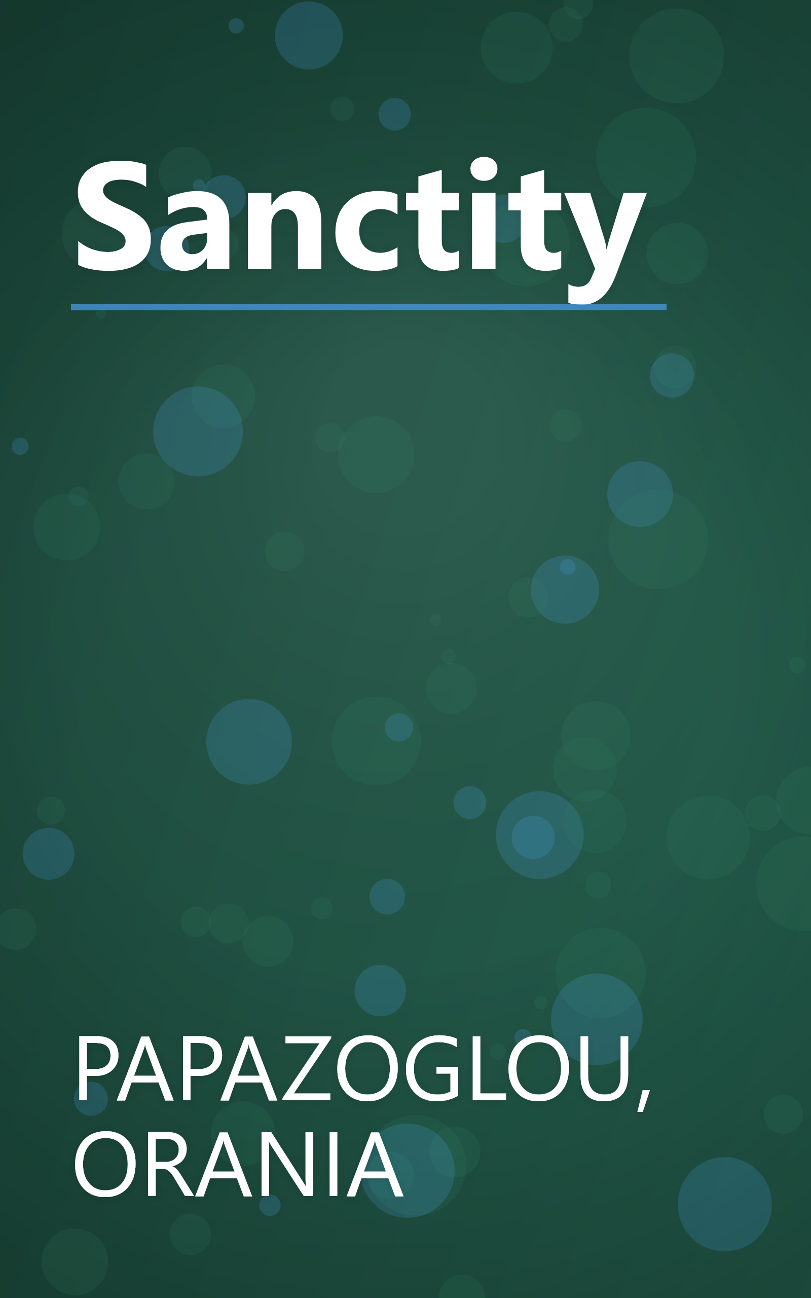 Sanctity book cover