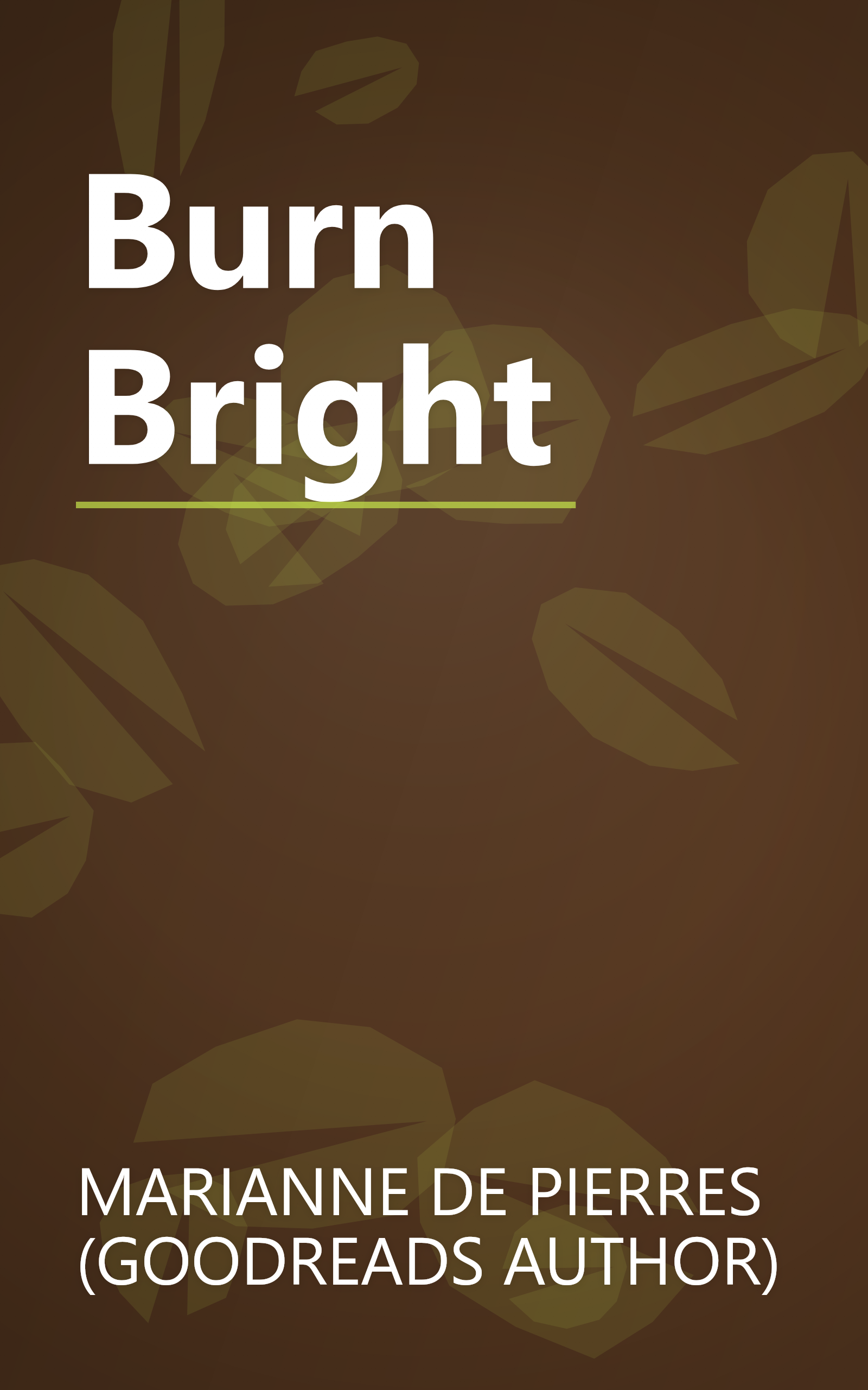 Burn Bright book cover