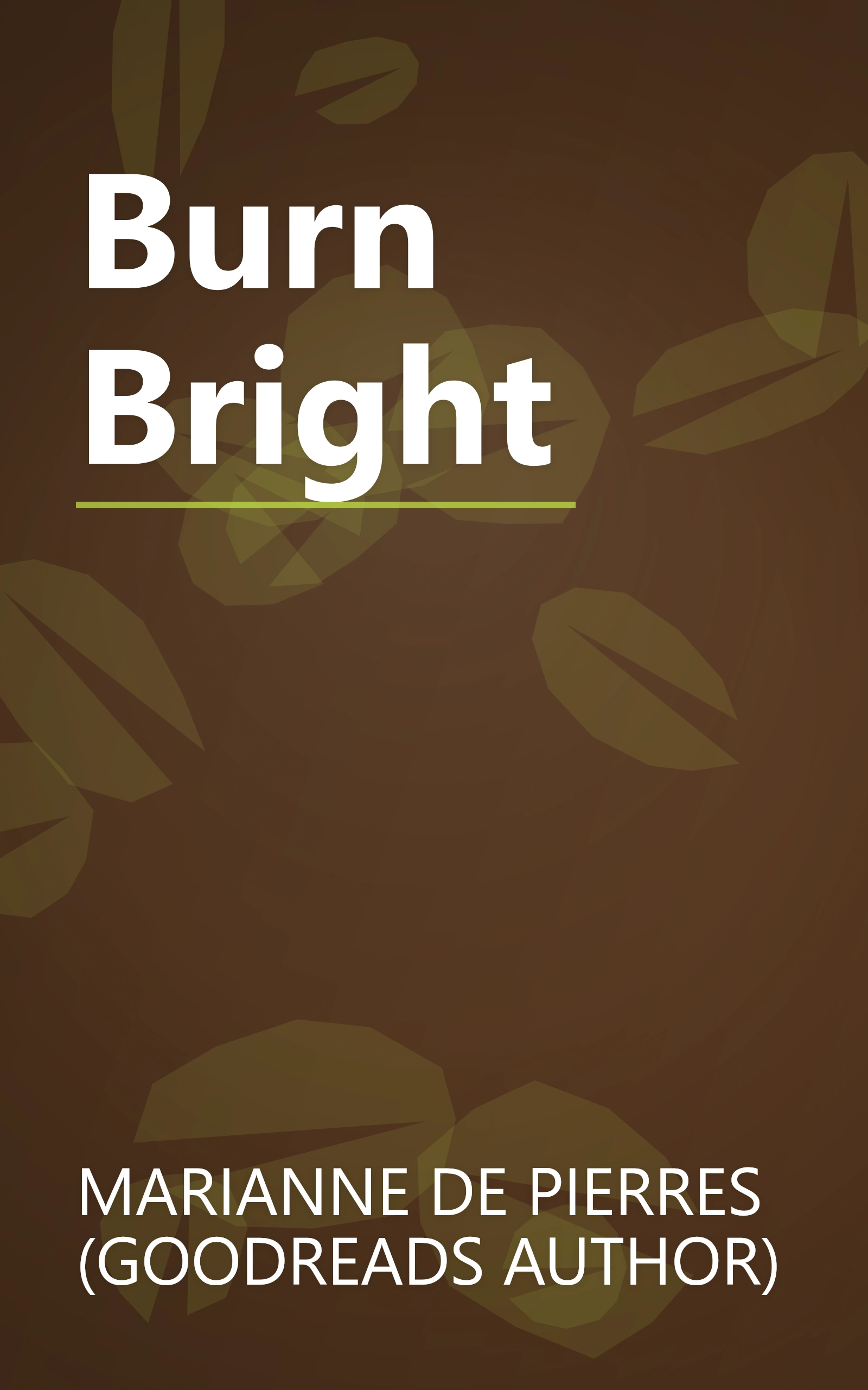 Burn Bright book cover