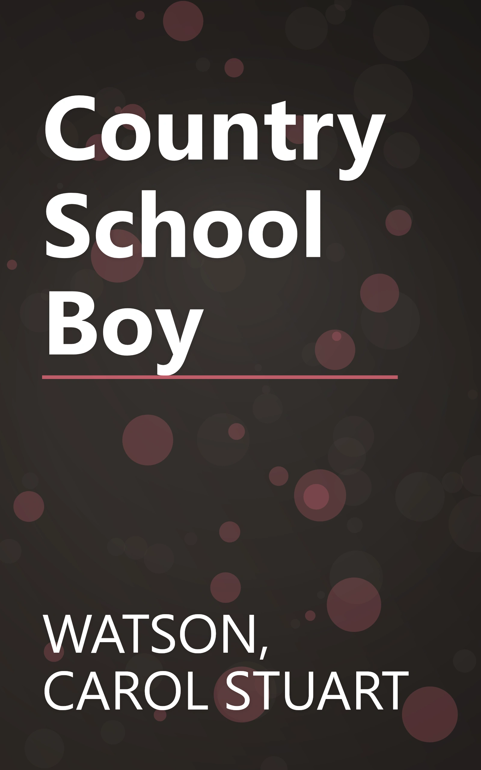 Country School Boy book cover