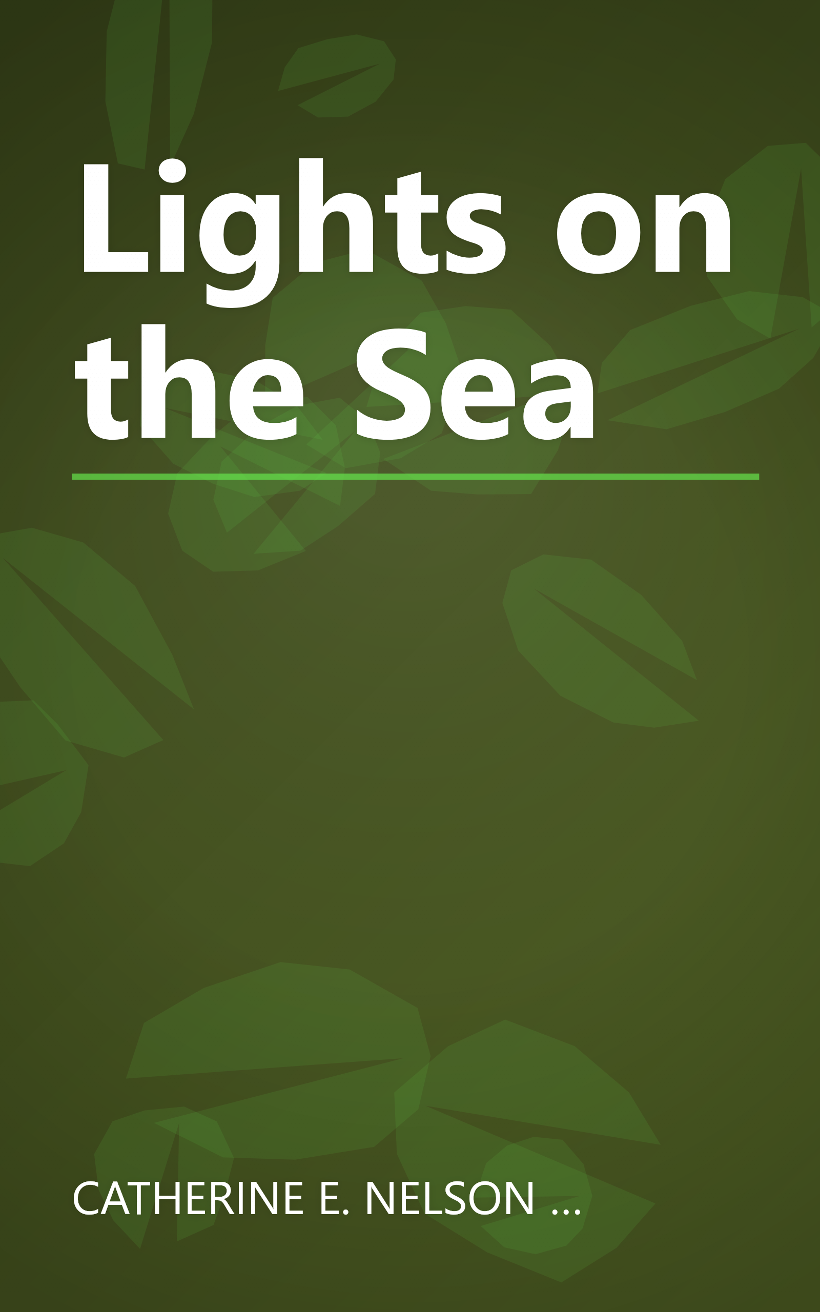 Lights on the Sea book cover