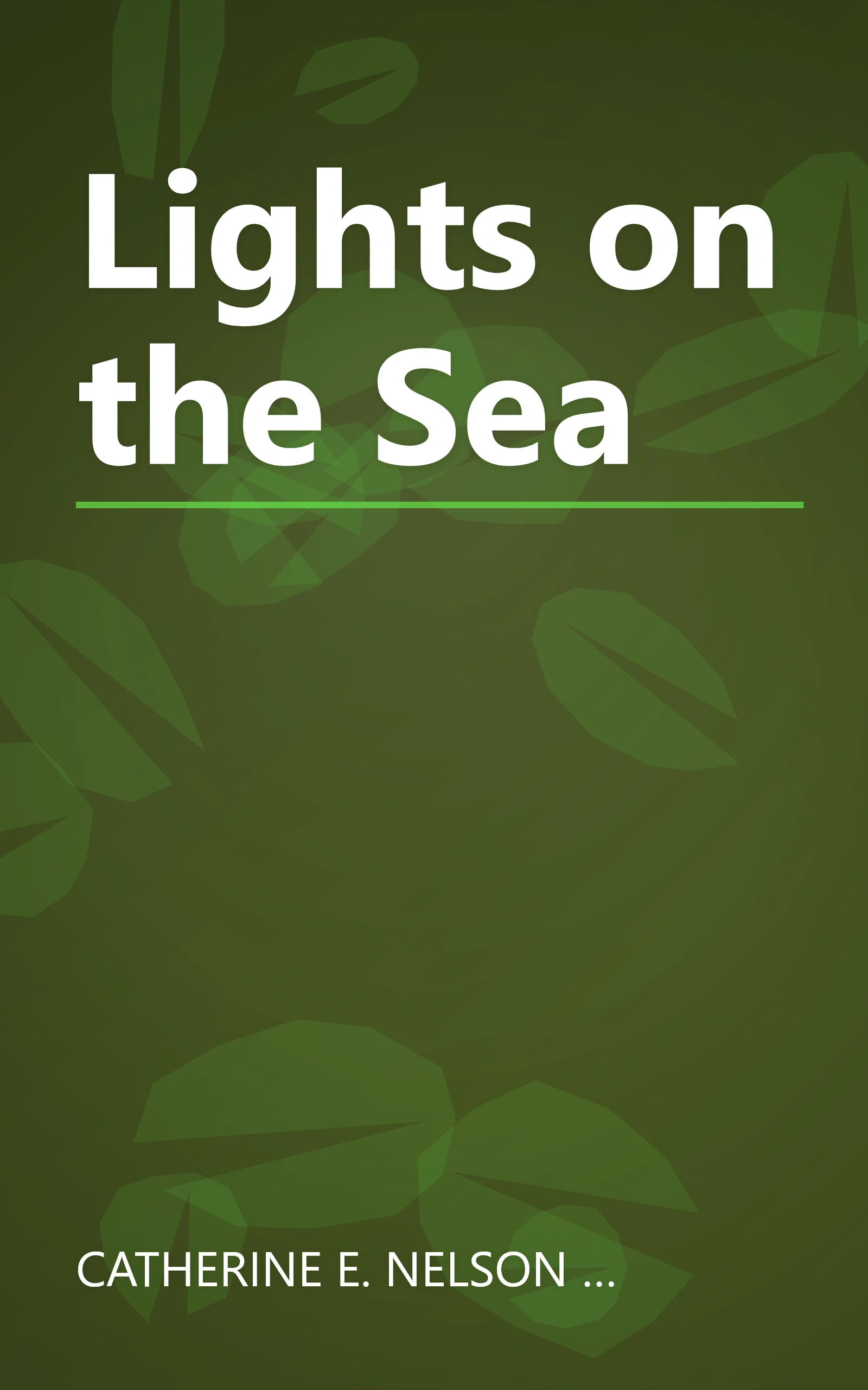 Lights on the Sea book cover