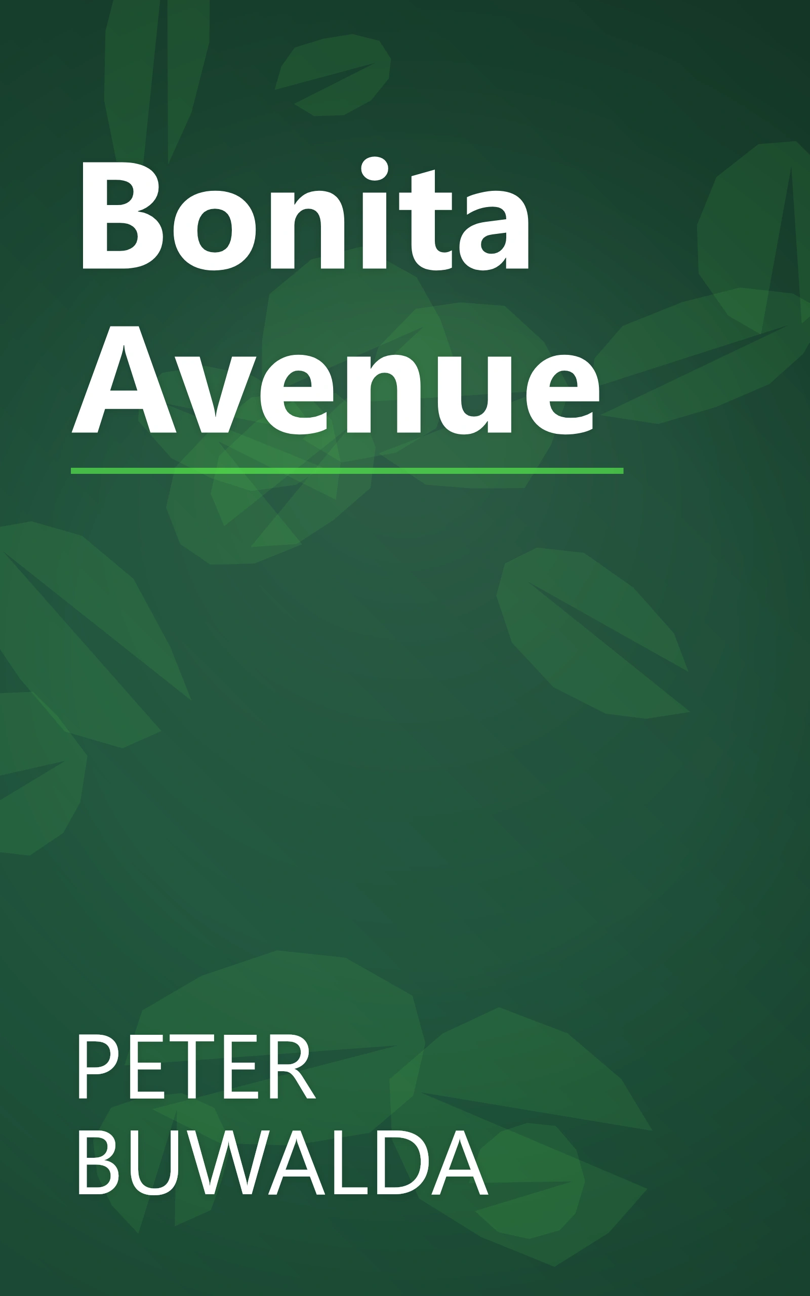 Bonita Avenue book cover