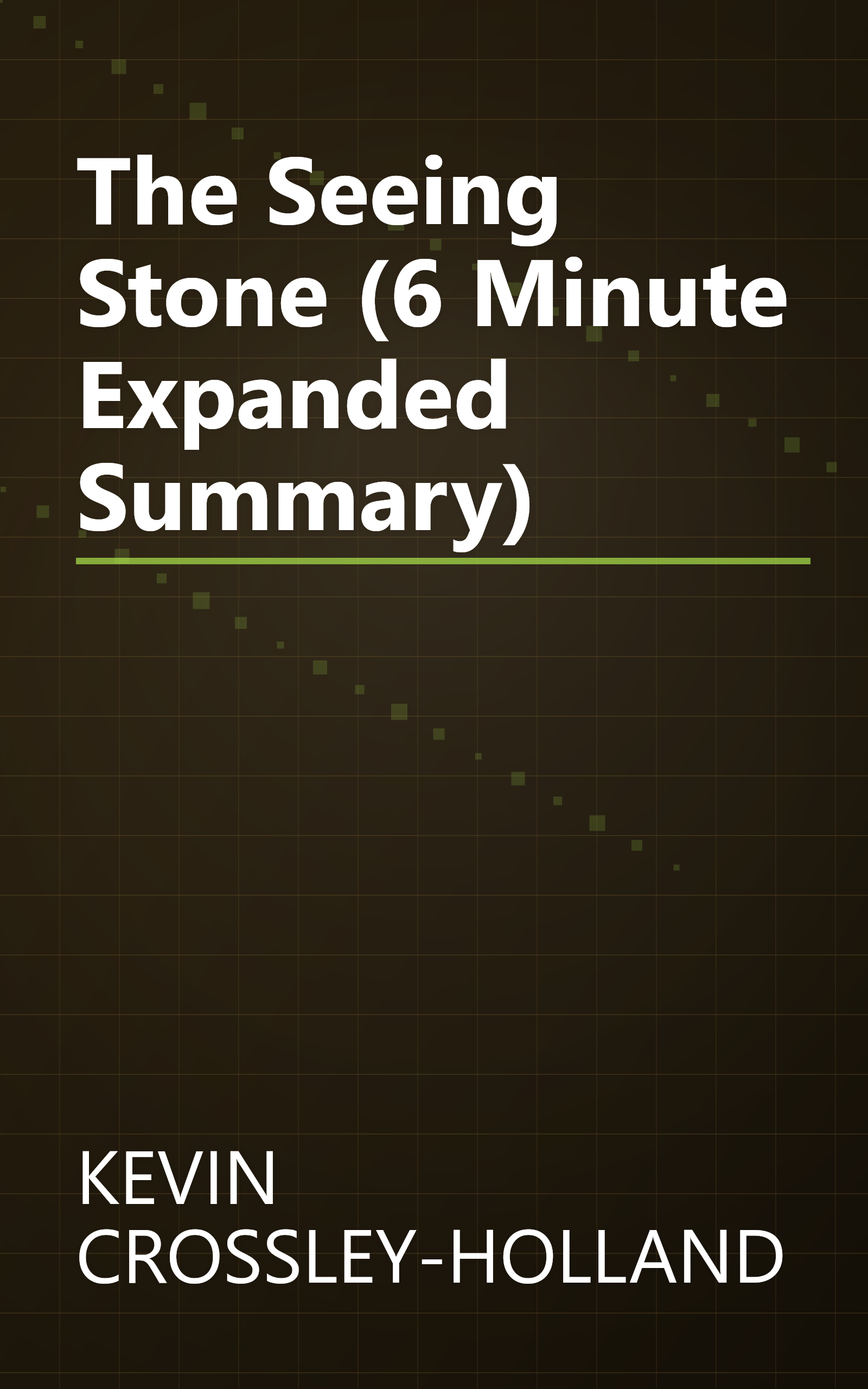 The Seeing Stone (6 Minute   Expanded Summary) book cover