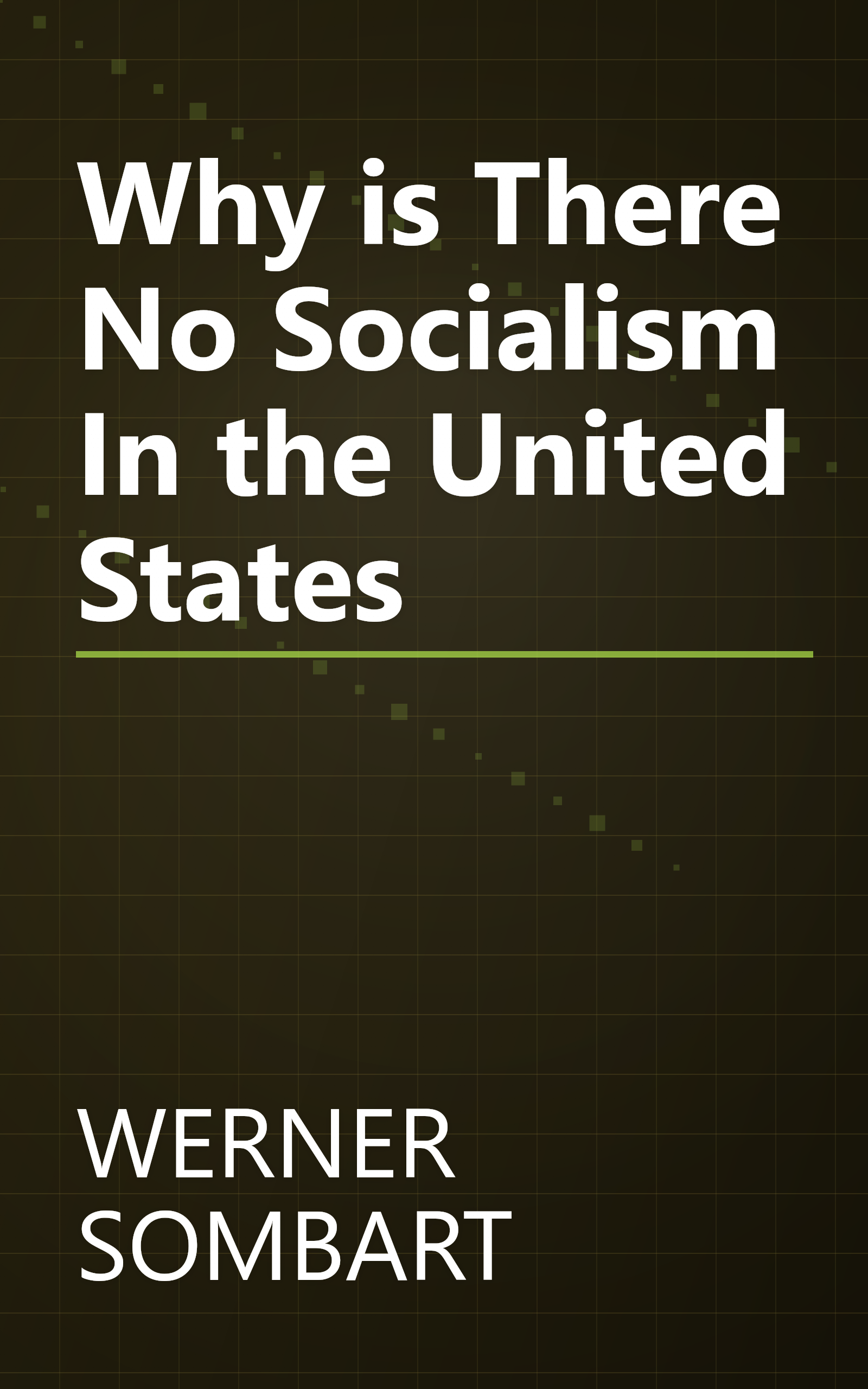 Why is There No Socialism In the United States book cover