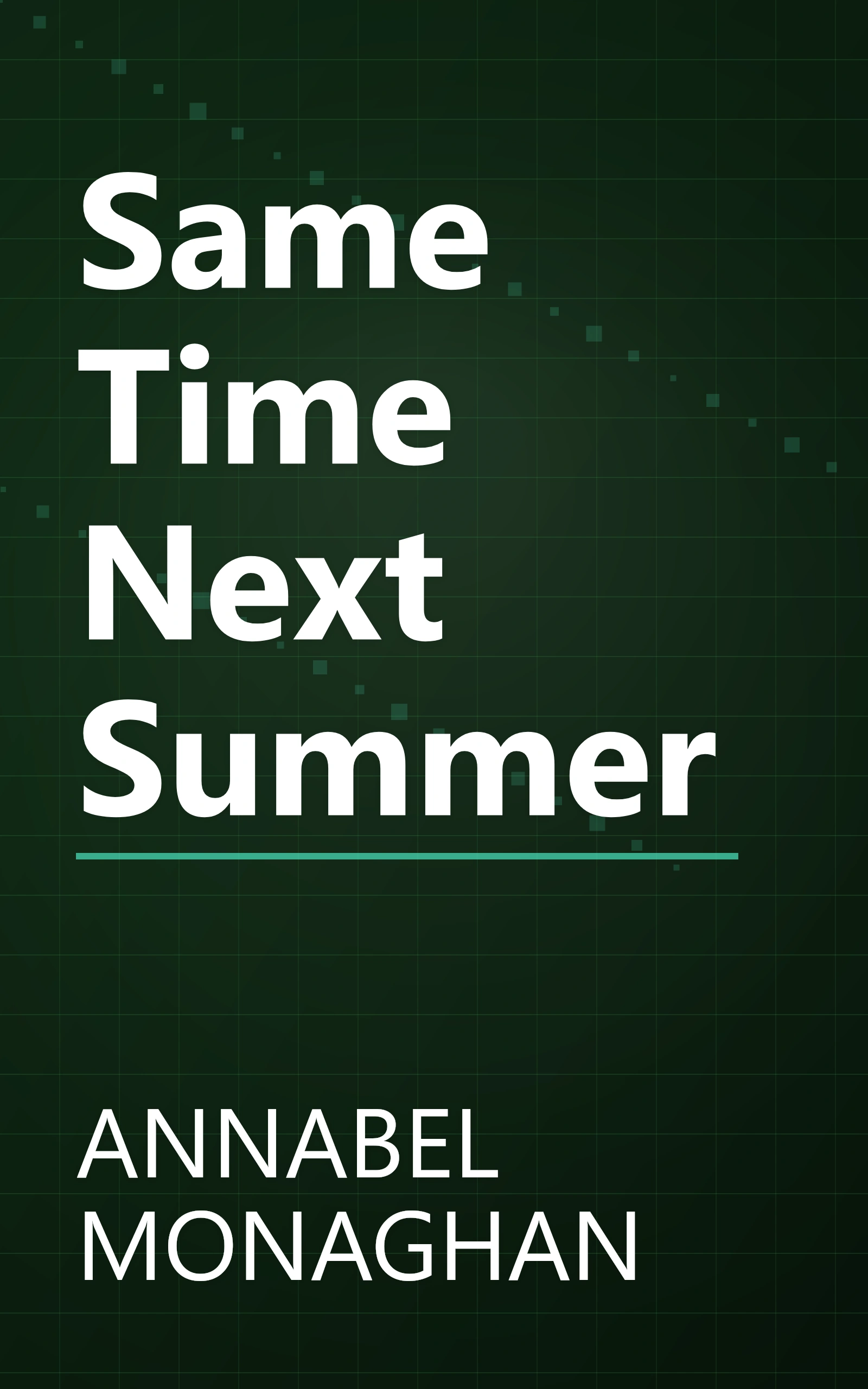 Same Time Next Summer book cover
