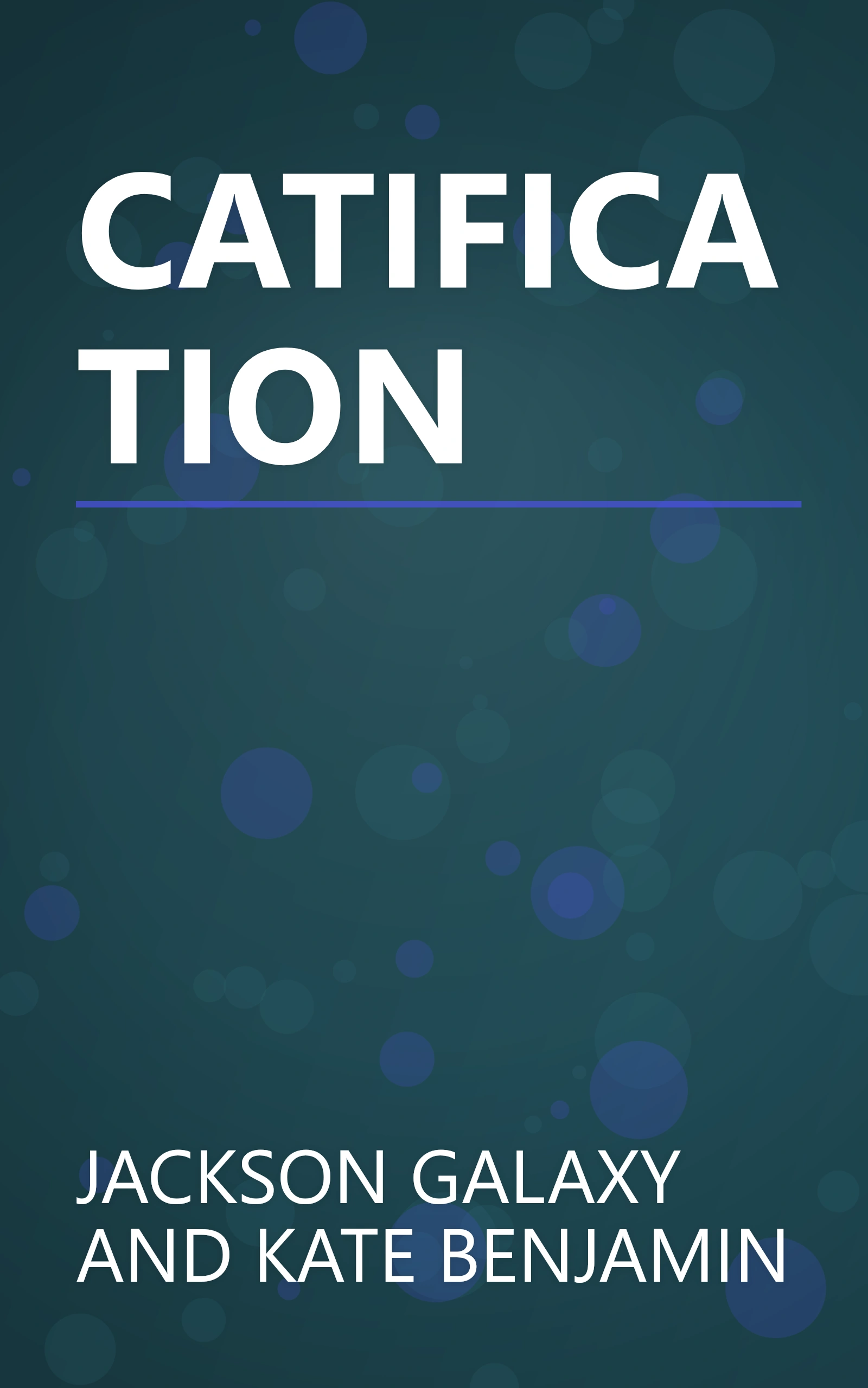 CATIFICATION book cover