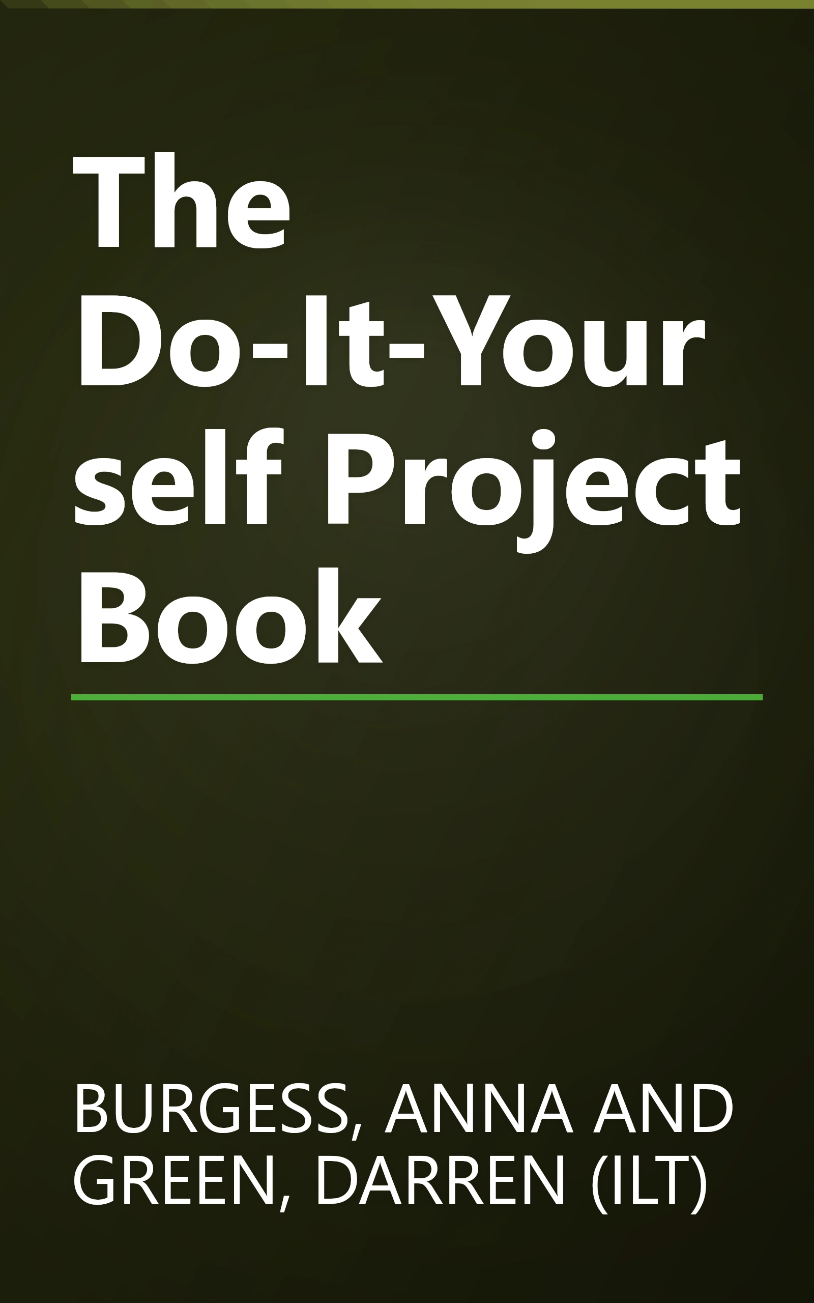 The Do-It-Yourself Project Book book cover