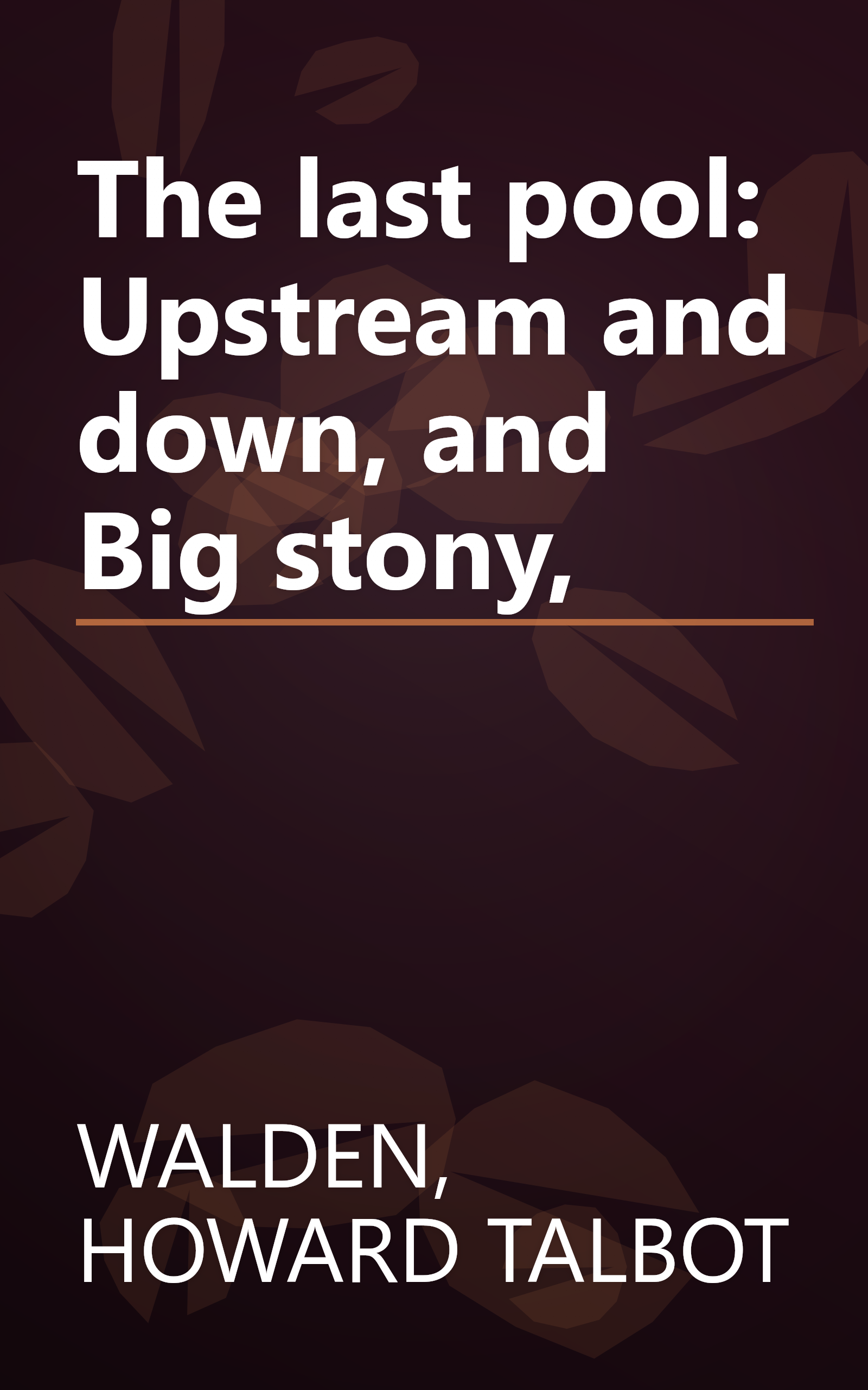 The last pool: Upstream and down, and Big stony, book cover