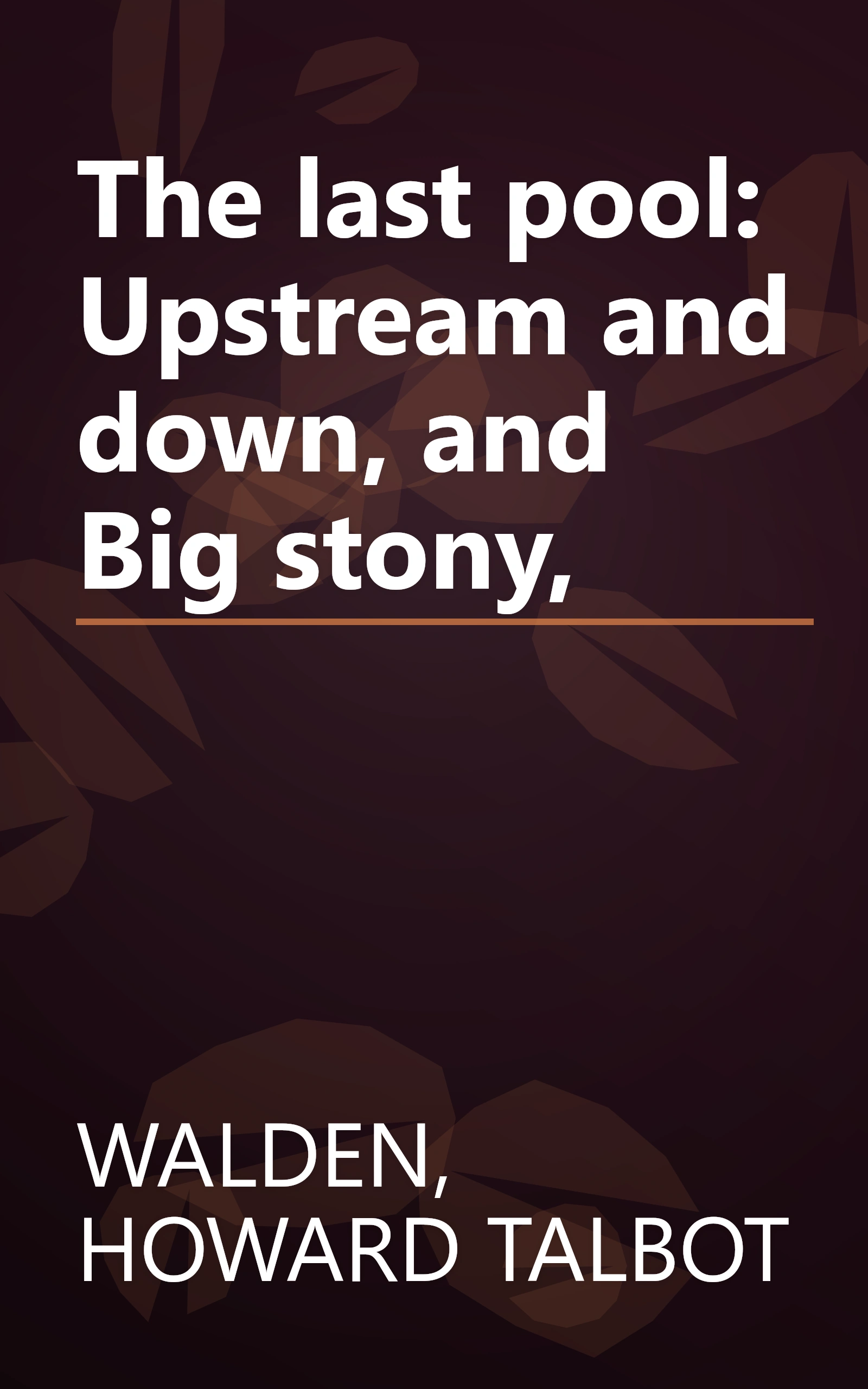 The last pool: Upstream and down, and Big stony, book cover