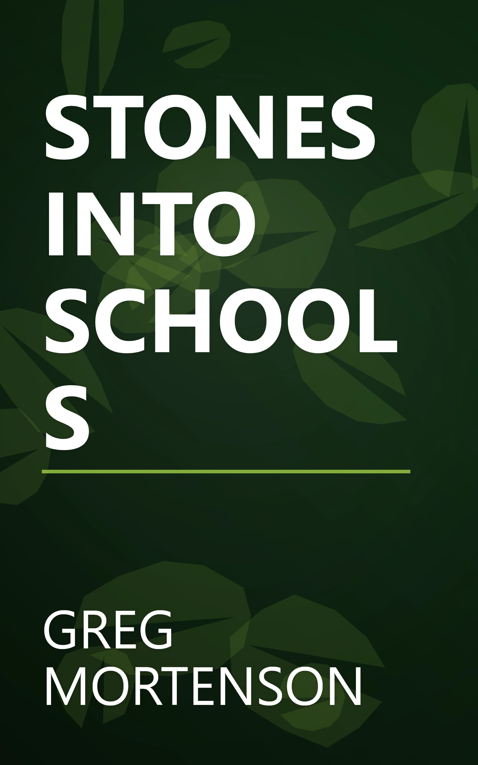 STONES INTO SCHOOLS book cover