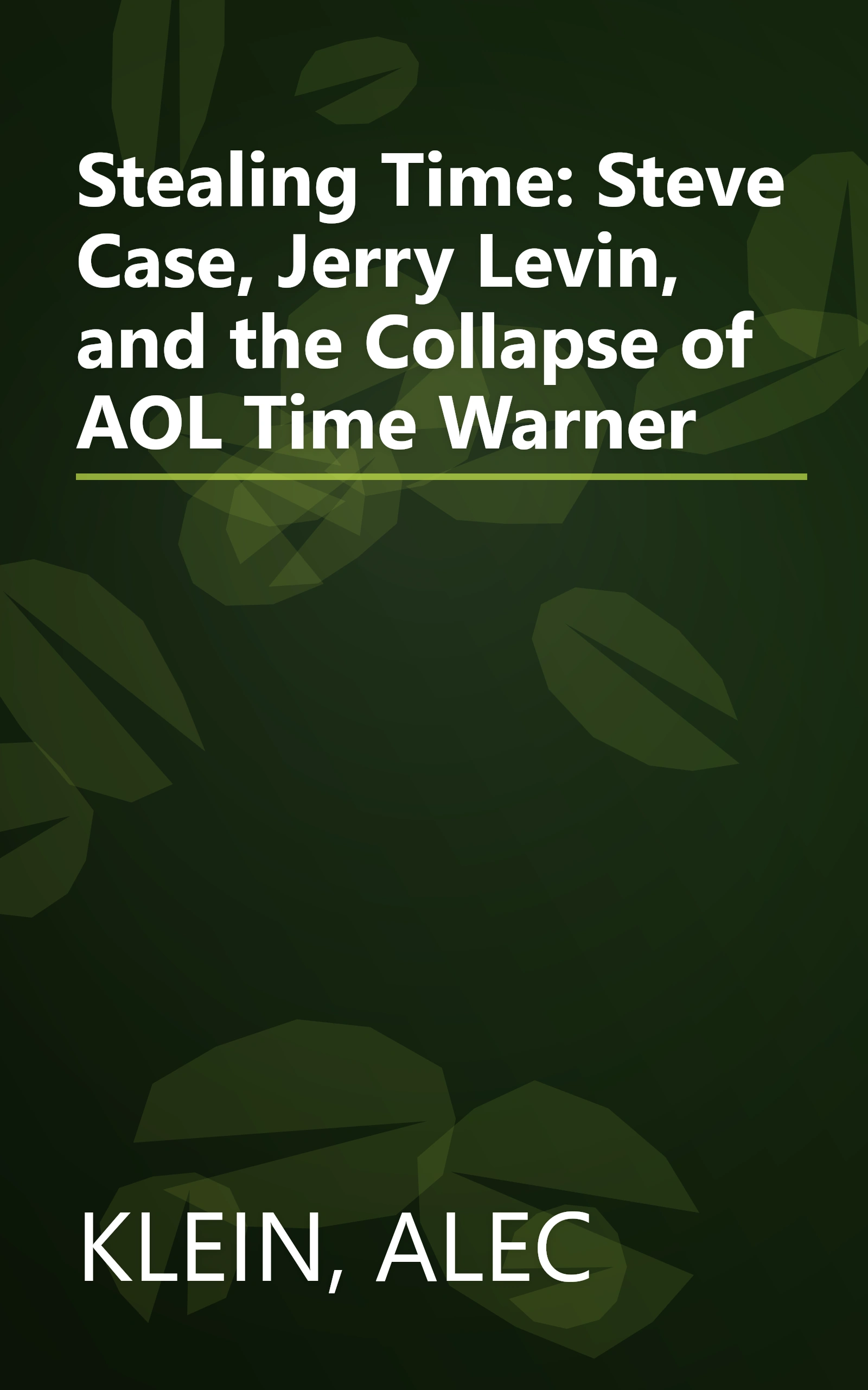 Stealing Time: Steve Case, Jerry Levin, and the Collapse of AOL Time Warner book cover