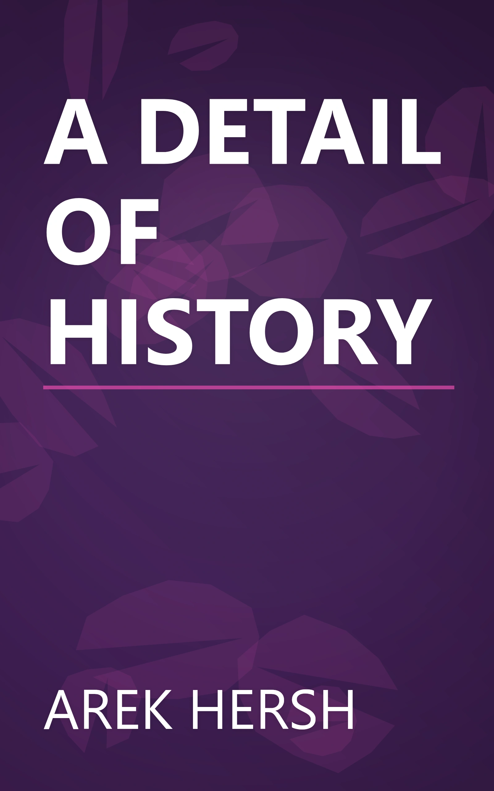 A DETAIL OF HISTORY book cover