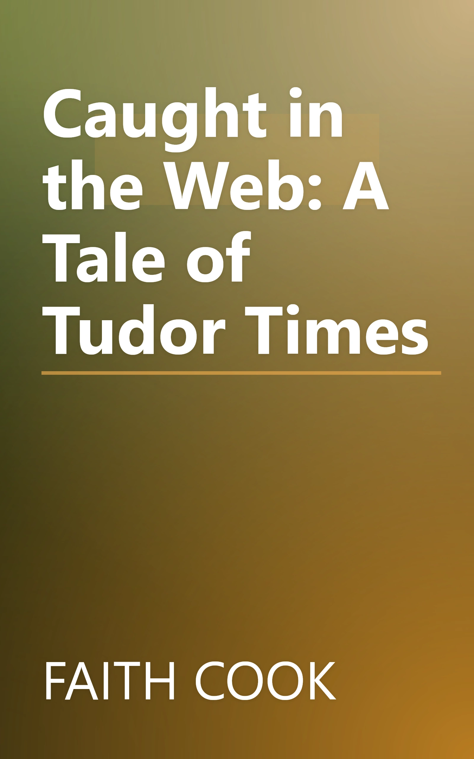Caught in the Web: A Tale of Tudor Times book cover