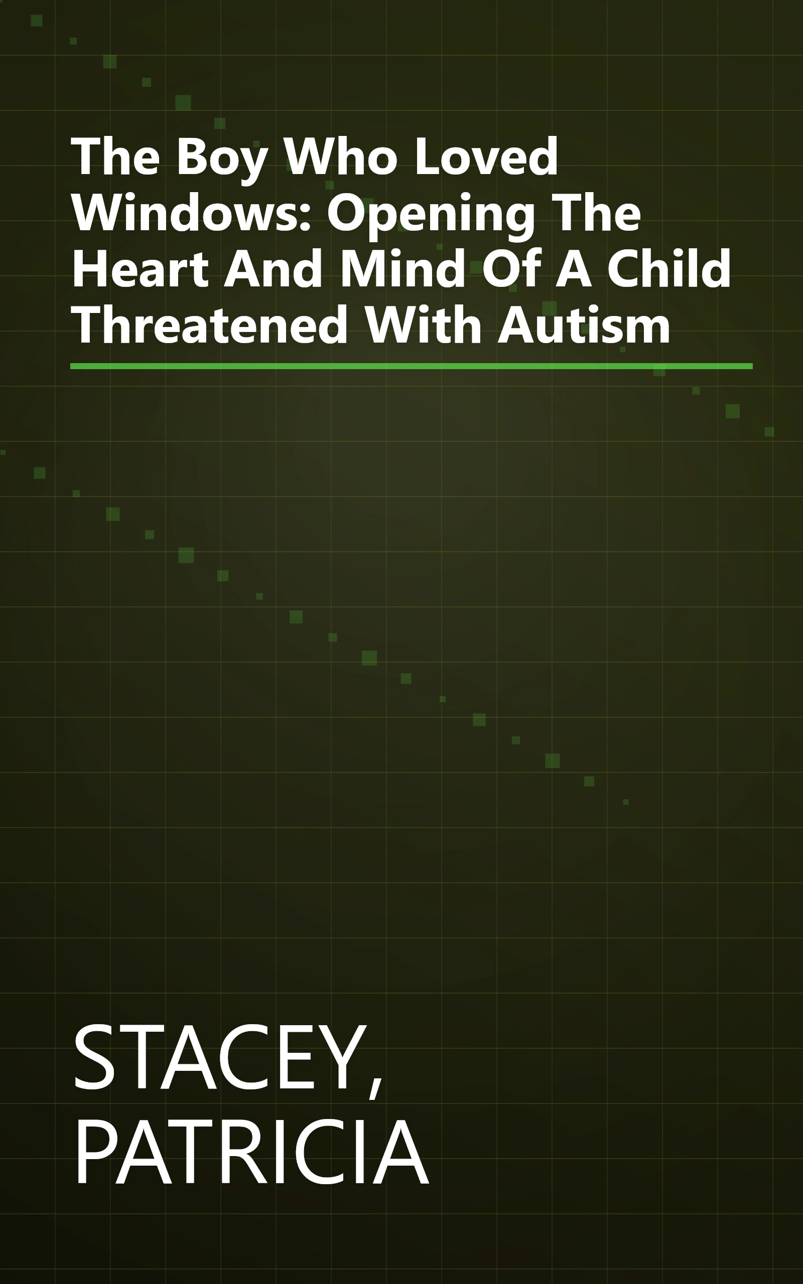 The Boy Who Loved Windows: Opening The Heart And Mind Of A Child Threatened With Autism book cover