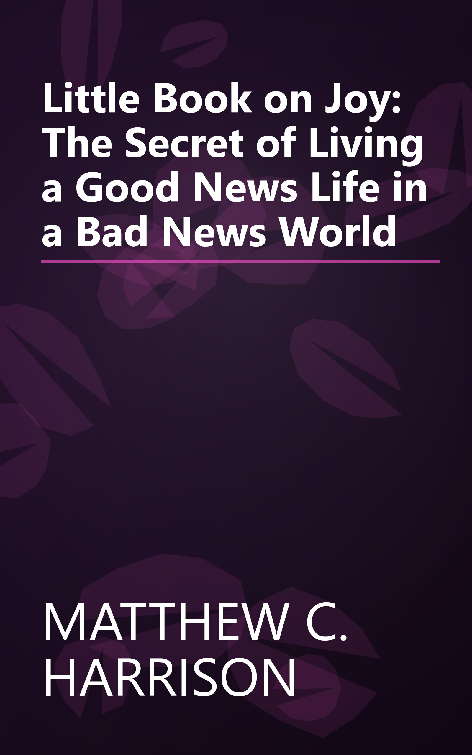 Little Book on Joy: The Secret of Living a Good News Life in a Bad News World book cover